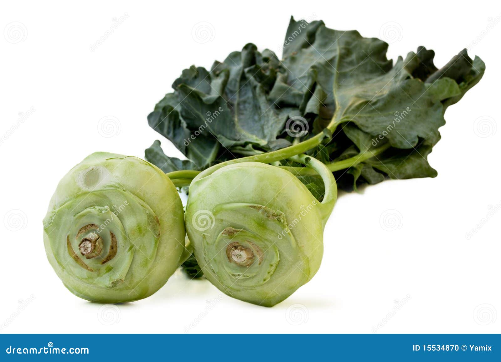 Cavolo rapa verde fotografia stock. Immagine di bianco - 15534870