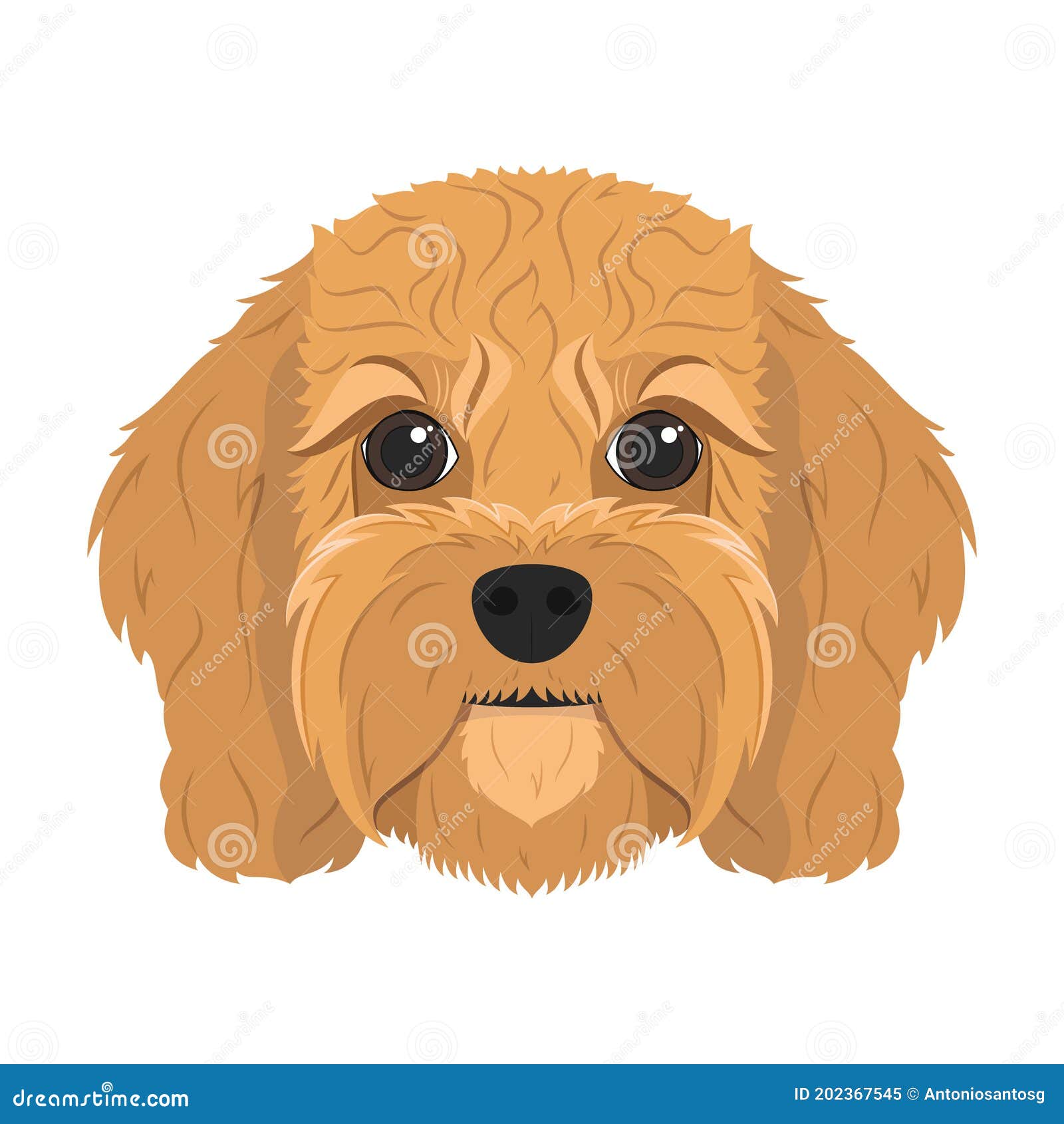 Cavoodle Cartoons, Illustrations & Vector Stock Images - 223 Pictures ...