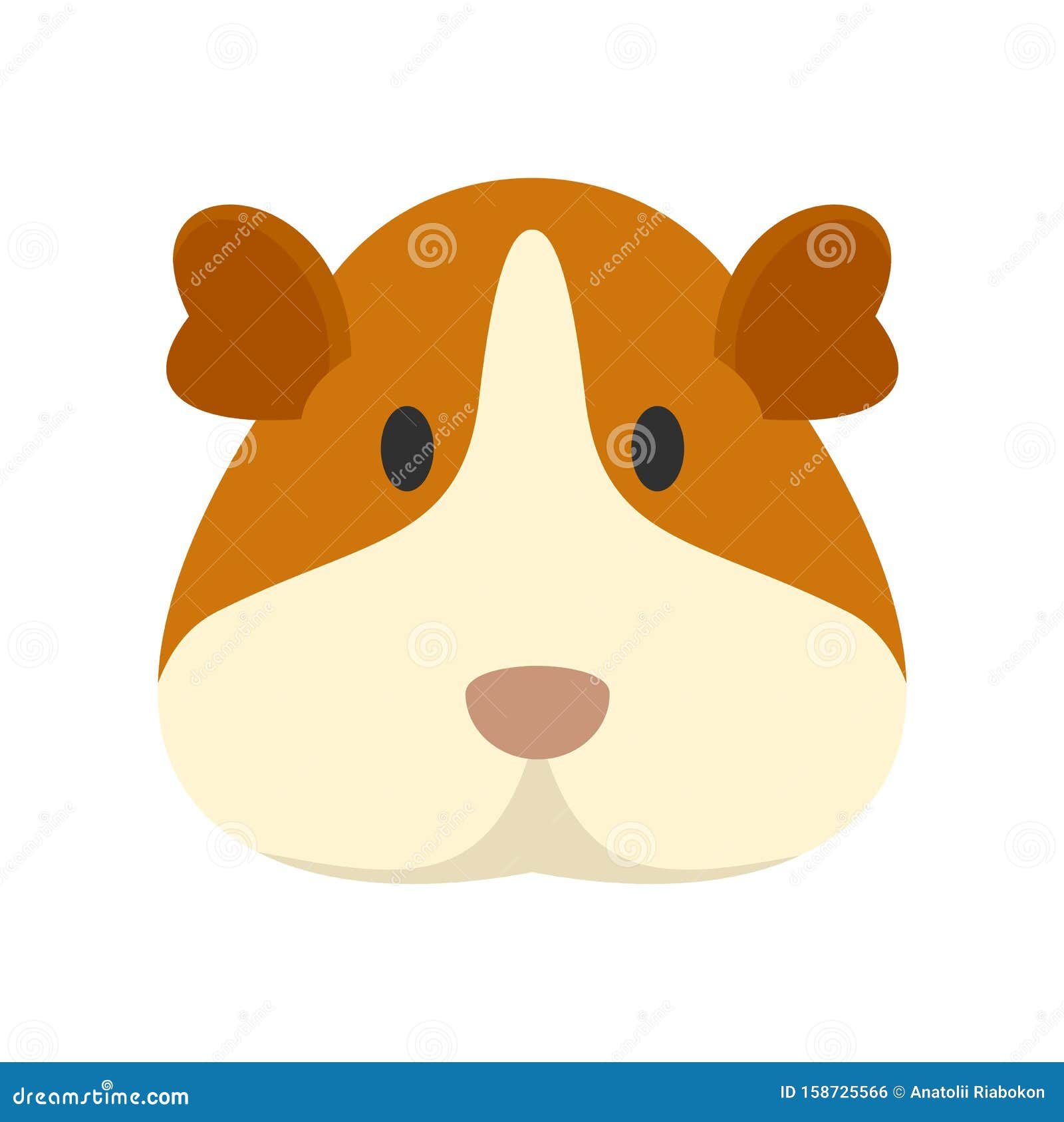 Cavy face icon, flat style stock vector. Illustration of animal - 158725566