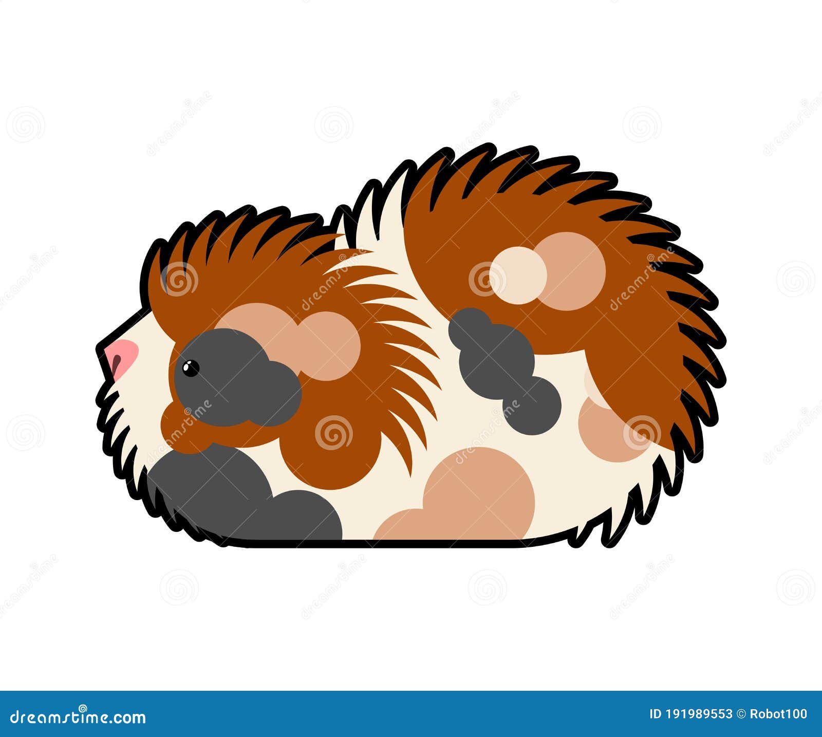 Cavy Set. Guinea Pig Cartoon. Vector Illustration | CartoonDealer.com ...