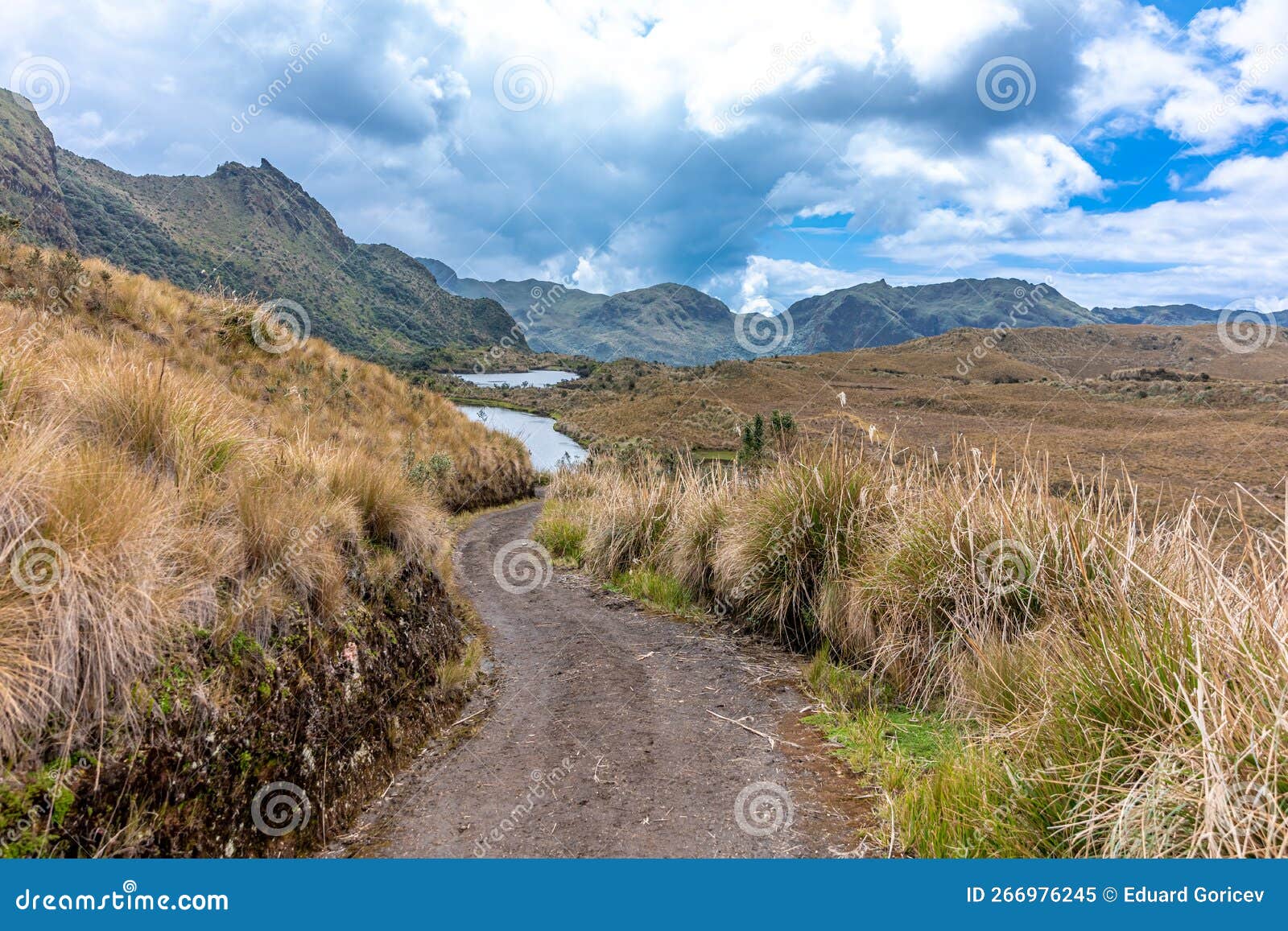 Cayambe Coca Ecological Reserve in Ecuador Stock Image - Image of ...