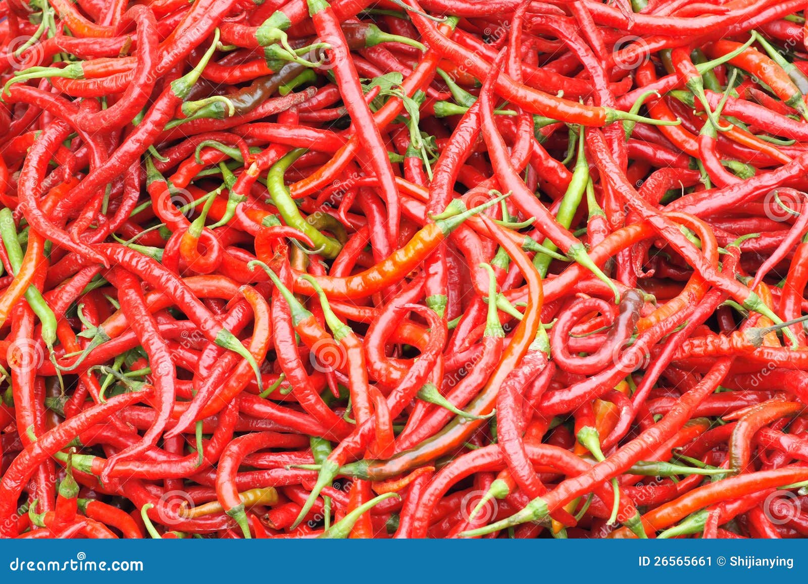 Cayenne pepper stock image. Image of crop, background - 26565661