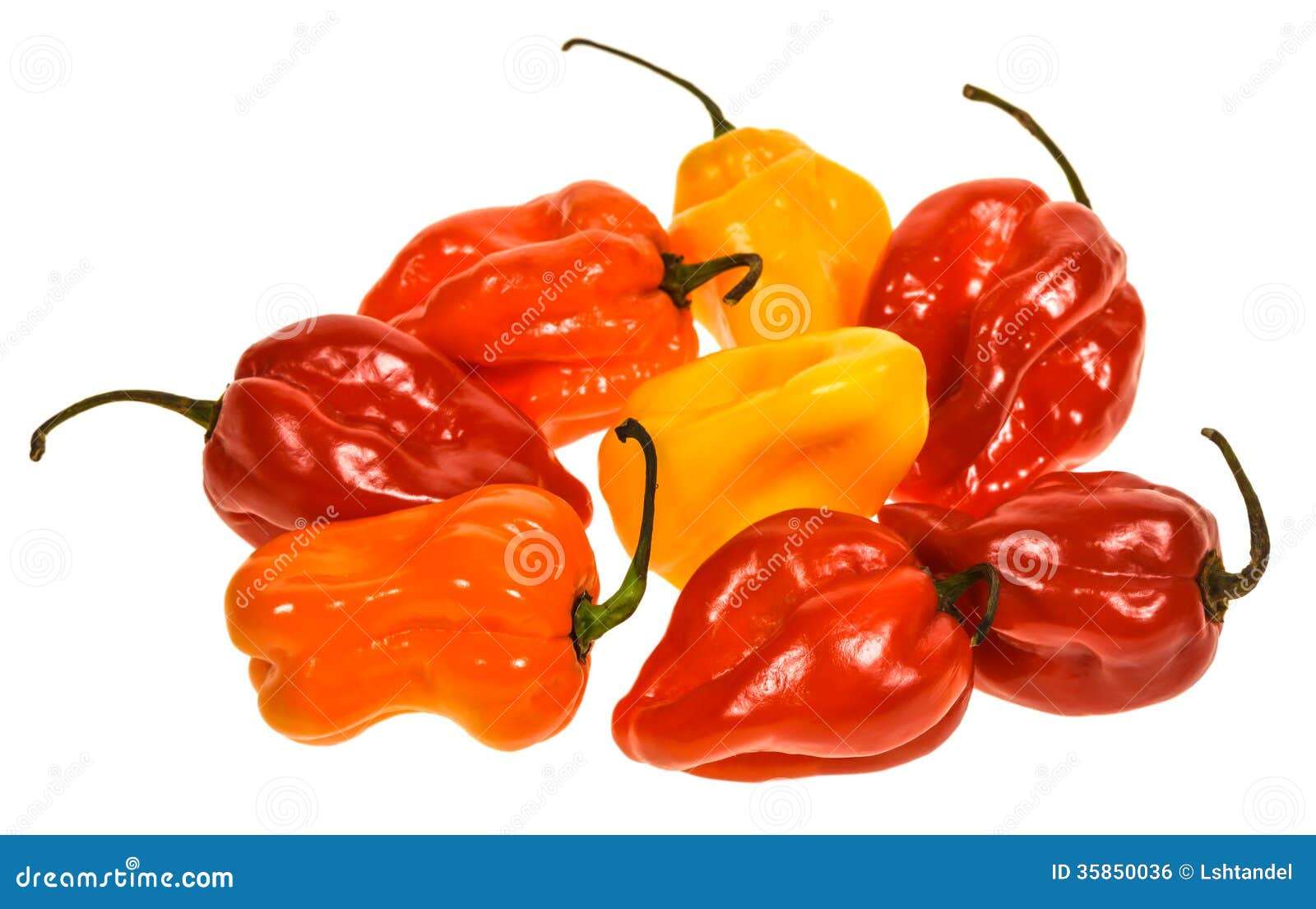 Cayenne Pepper or Chilli. Colored Pods Stock Photo - Image of objects ...
