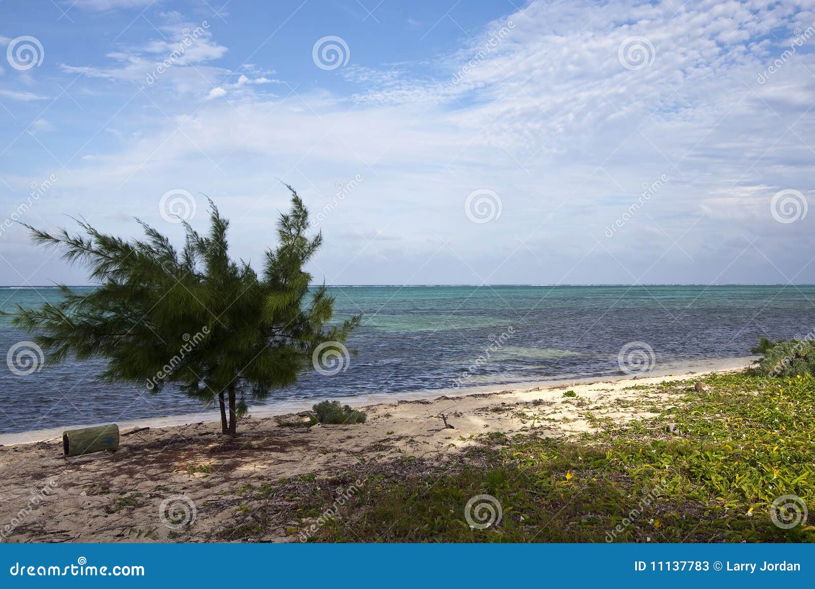 Cayman Island Windswept Beach Stock Image - Image of british, water ...