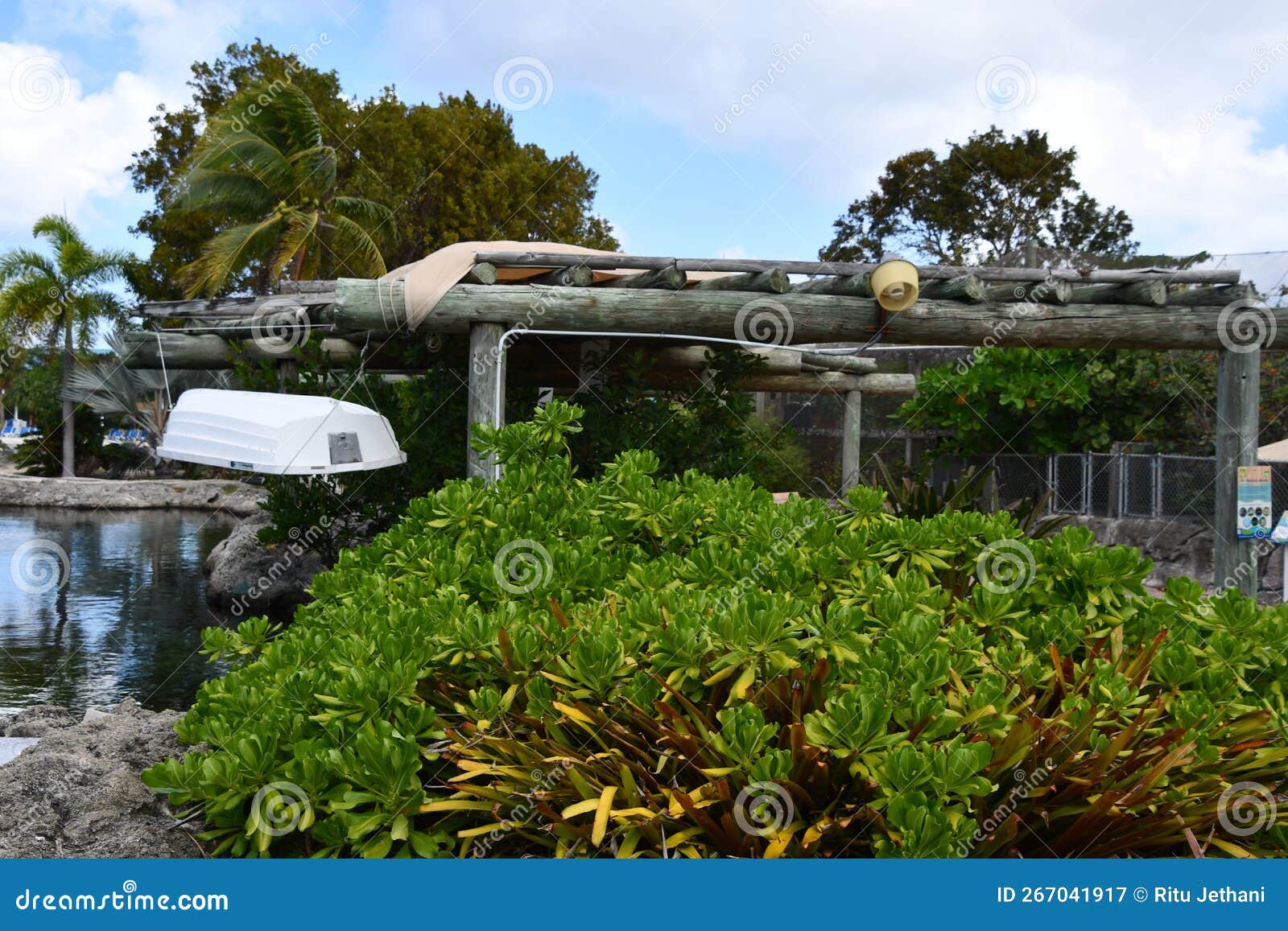 Cayman Turtle Centre in West Bay on the Cayman Islands Editorial ...