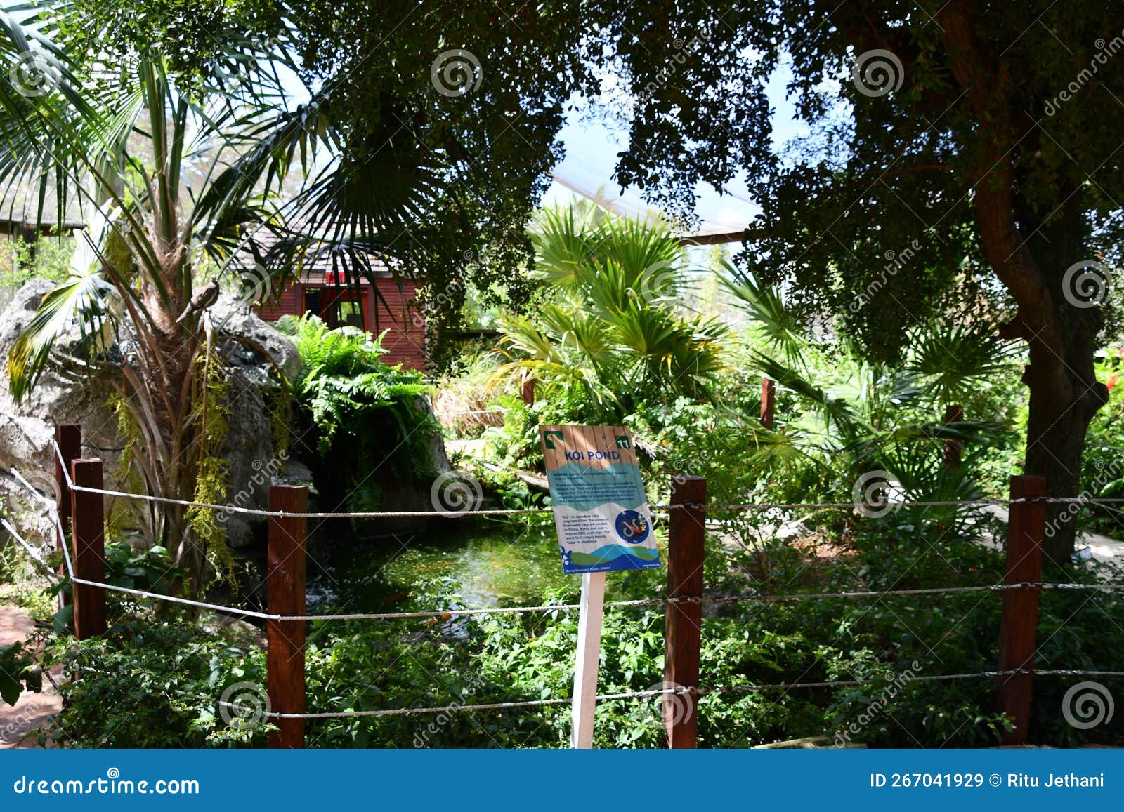 Cayman Turtle Centre in West Bay on the Cayman Islands Editorial Stock ...