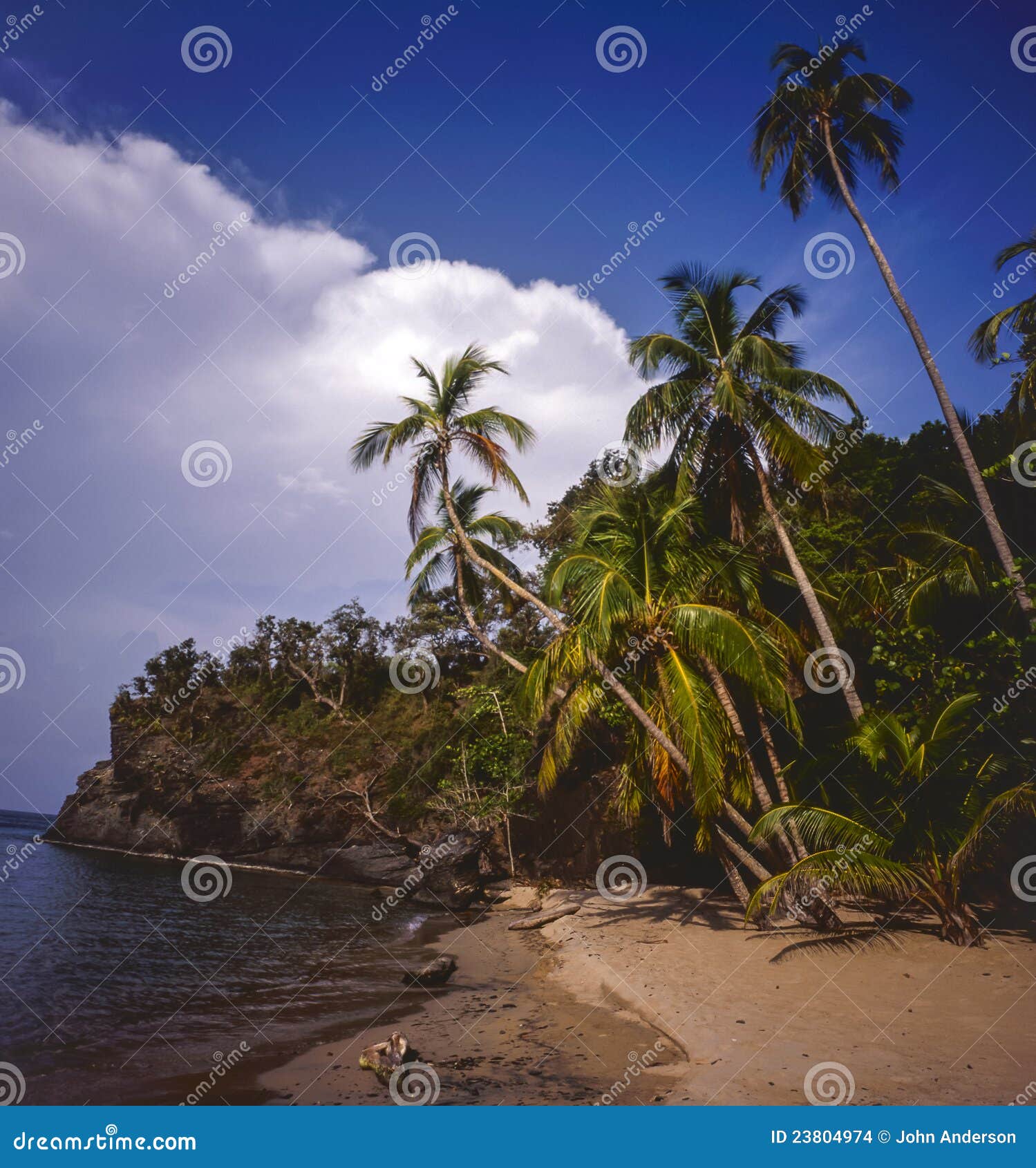 Cayos Cochinos, Honduras stock photo. Image of trees - 23804974
