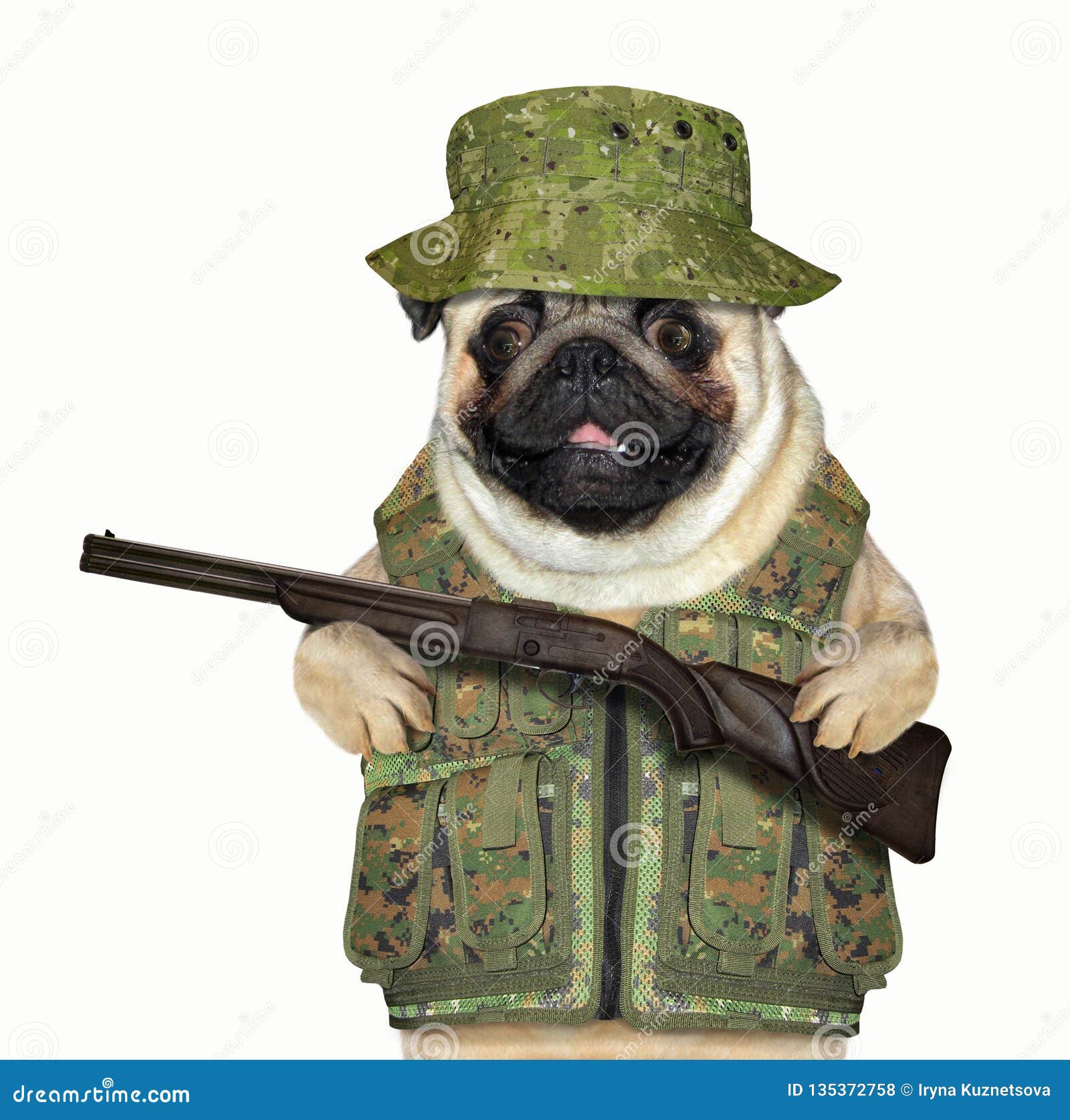 Cazador Del Perro Con Un Rifle Foto de archivo - Imagen de sombrero ...