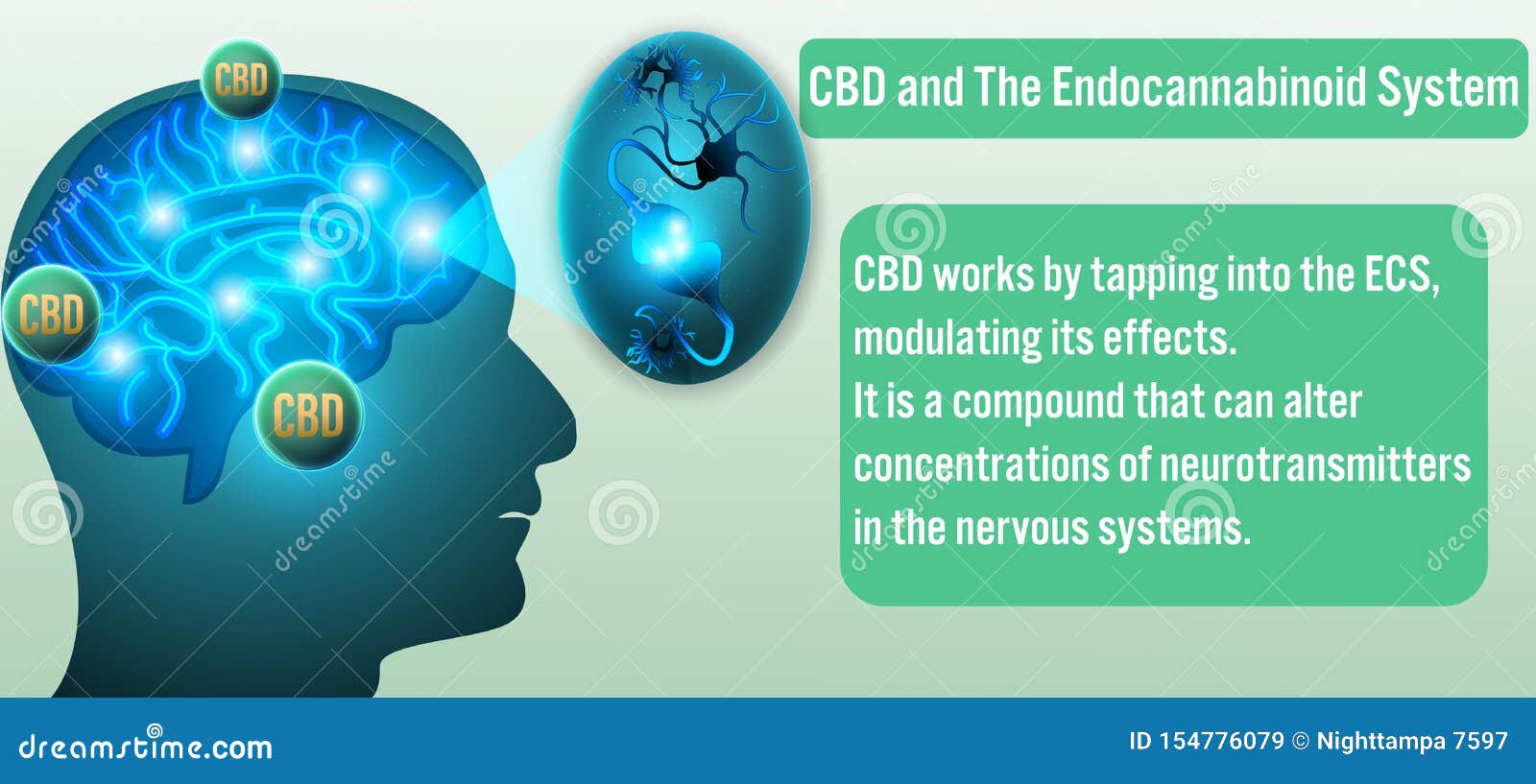 Endocannabinoid System. Medical Cannabis Cartoon Vector | CartoonDealer ...