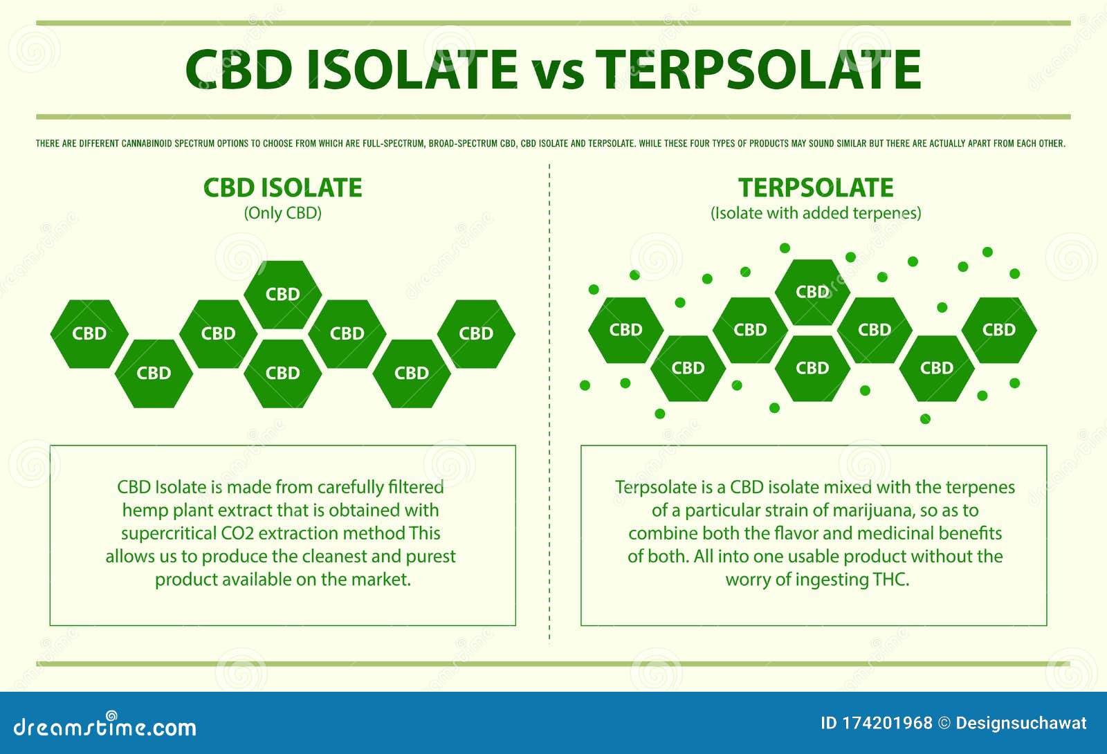 CBD Isolate Vs Terpsolate Horizontal Infographic Vector Illustration ...