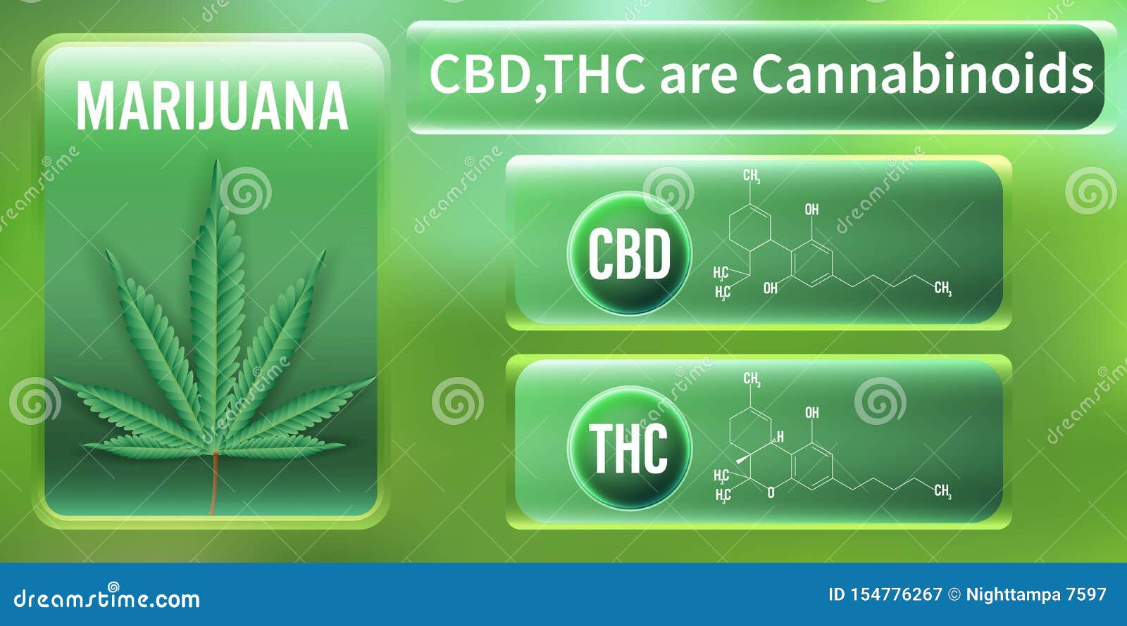 Marijuana, CBD and THC are Cannabinoids. Illustration Stock ...
