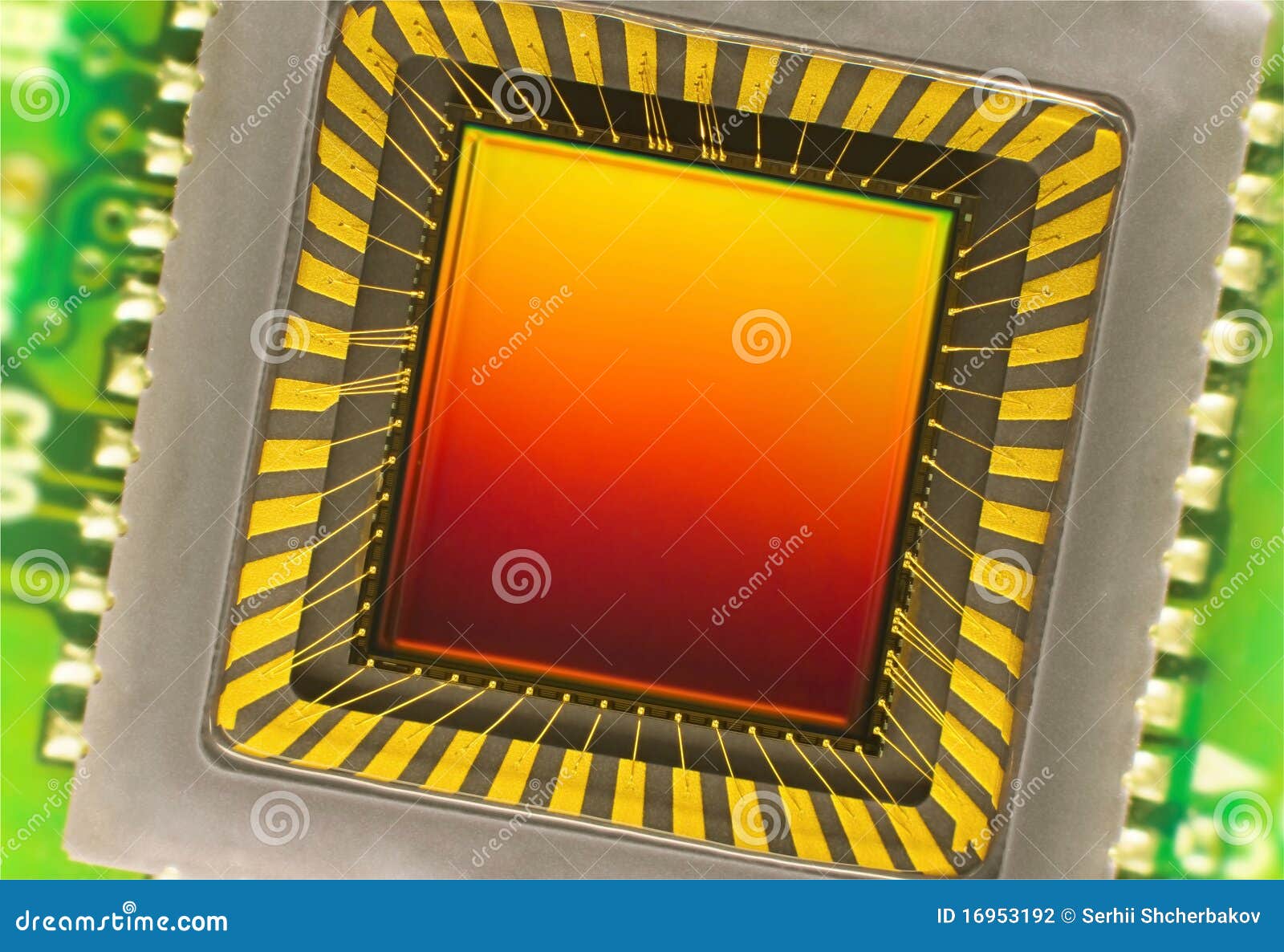 CCD sensor on a card stock photo. Image of macro, pixel - 16953192
