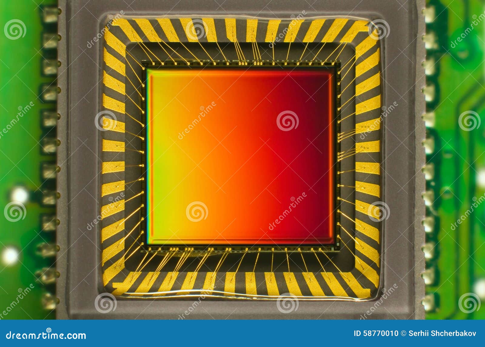 CCD sensor on a card stock photo. Image of green, chip - 58770010