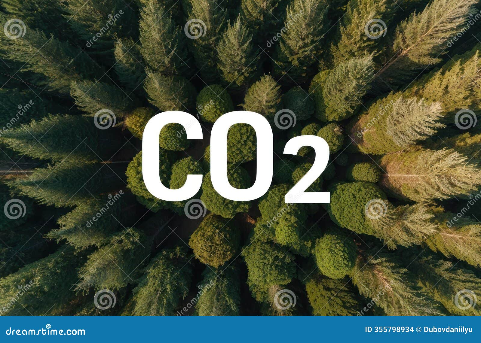 CCO2 in Front of a Forest in a Bird S Eye View, Symbolizing ...