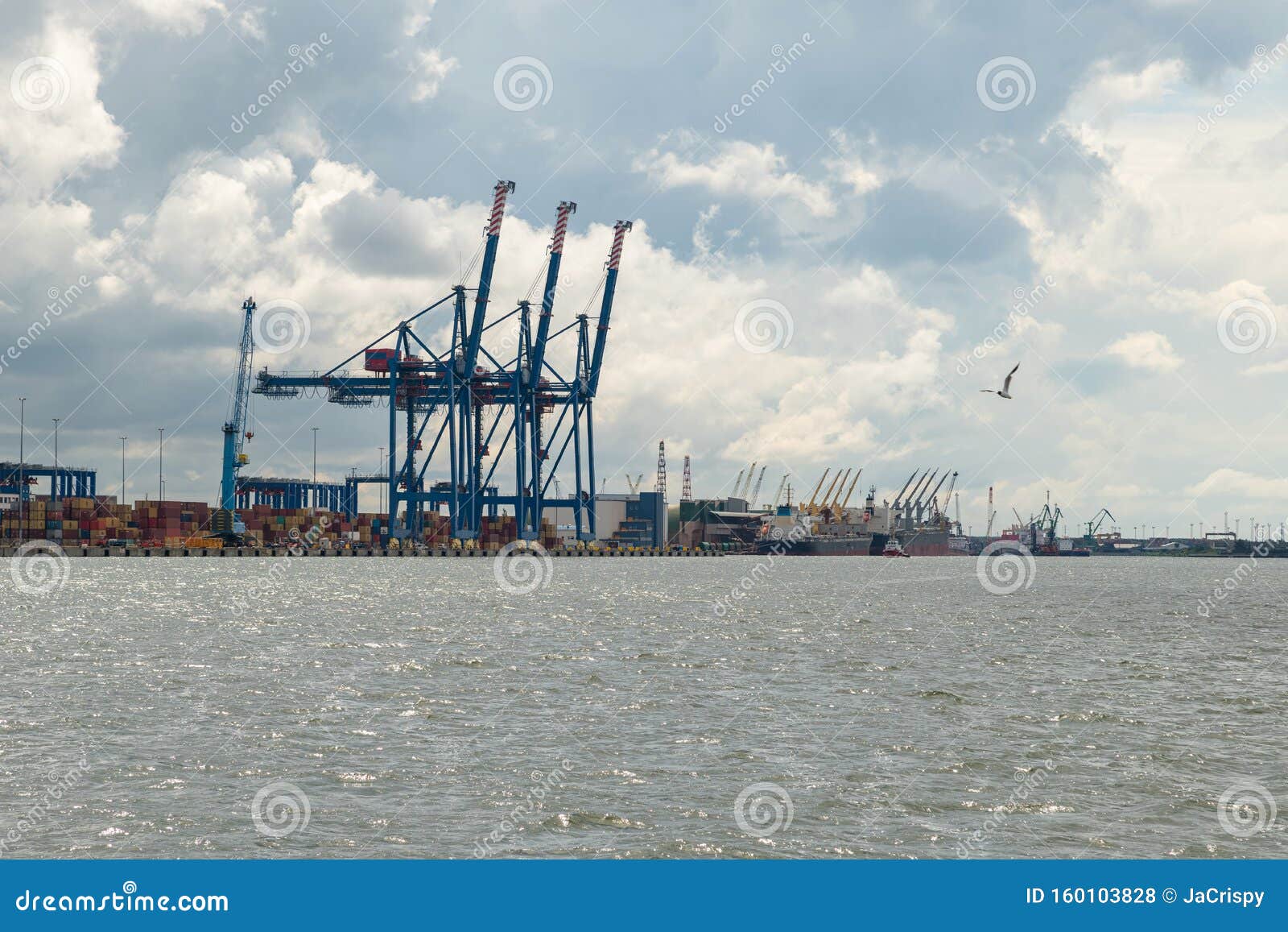 Ccommercial Container Port for Loading and Unloading Freighter Ships ...