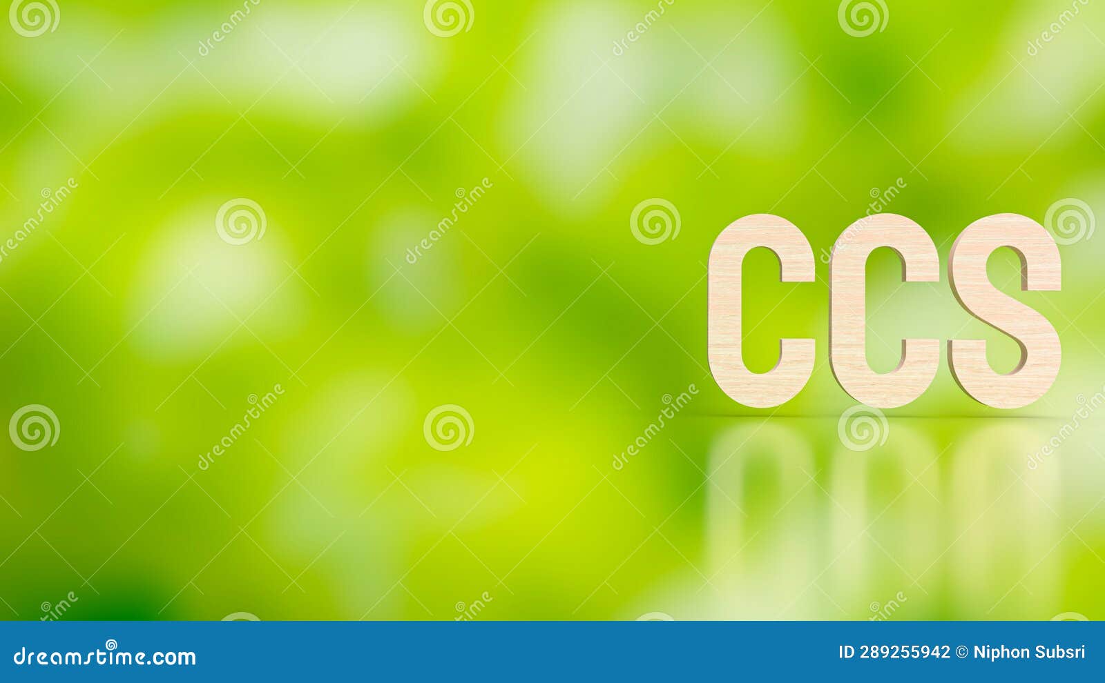 The Ccs Mean Carbon Capture and Storage for Technology or Eco Concept ...
