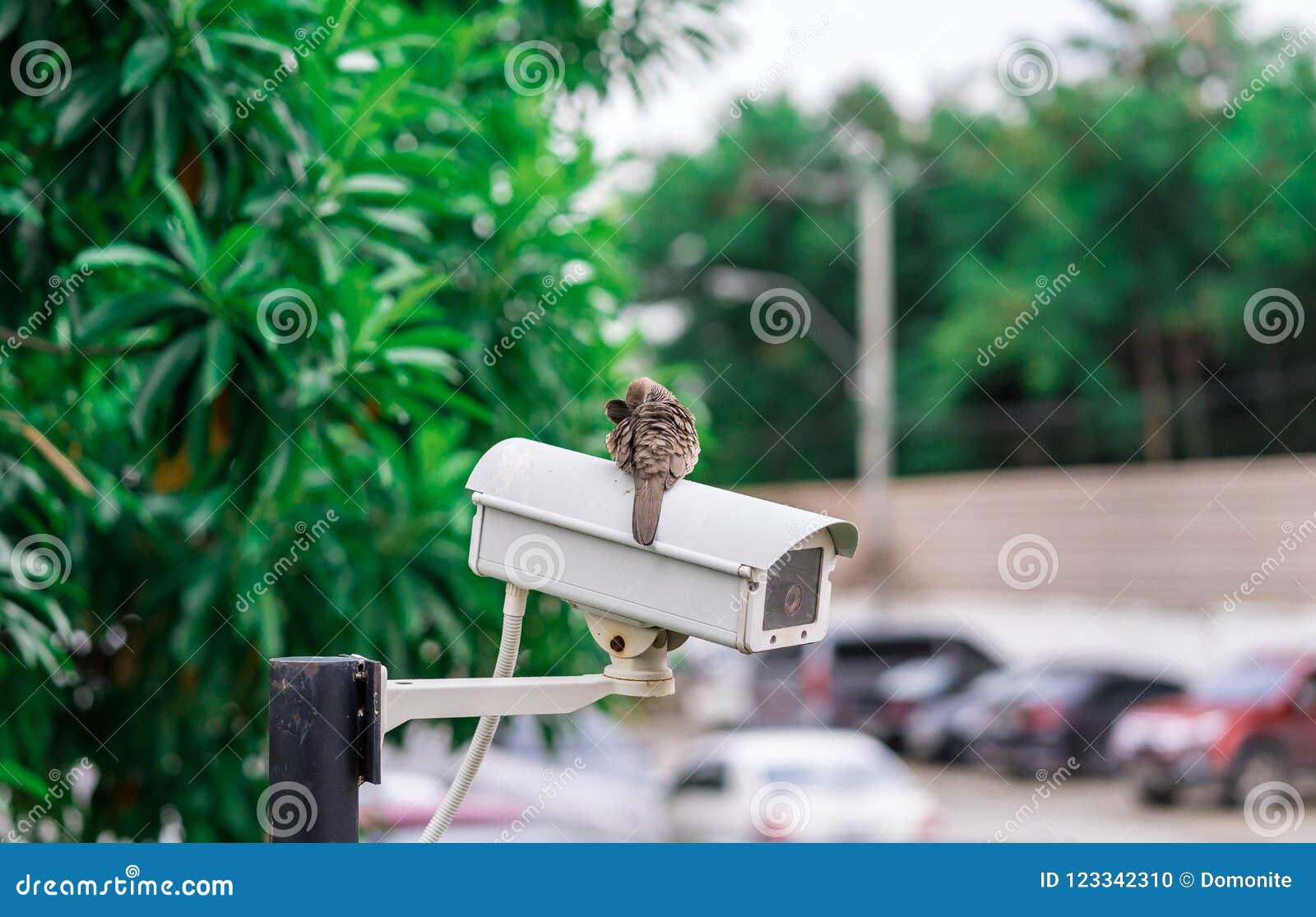 CCTV Camera Installed on the Parking Lot Stock Photo - Image of safe ...