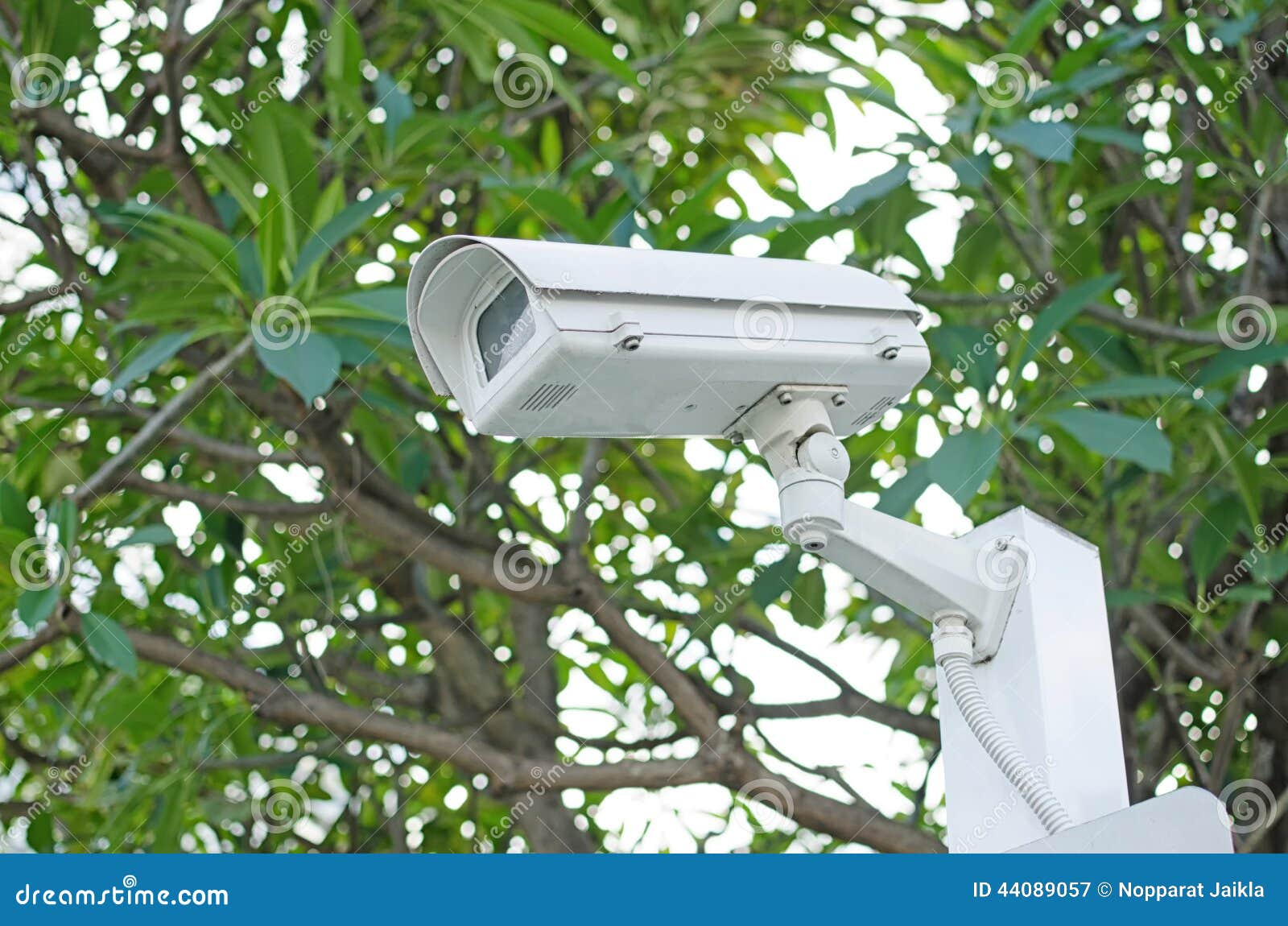 CCTV Camera on a Nature Background Stock Image - Image of cctv ...