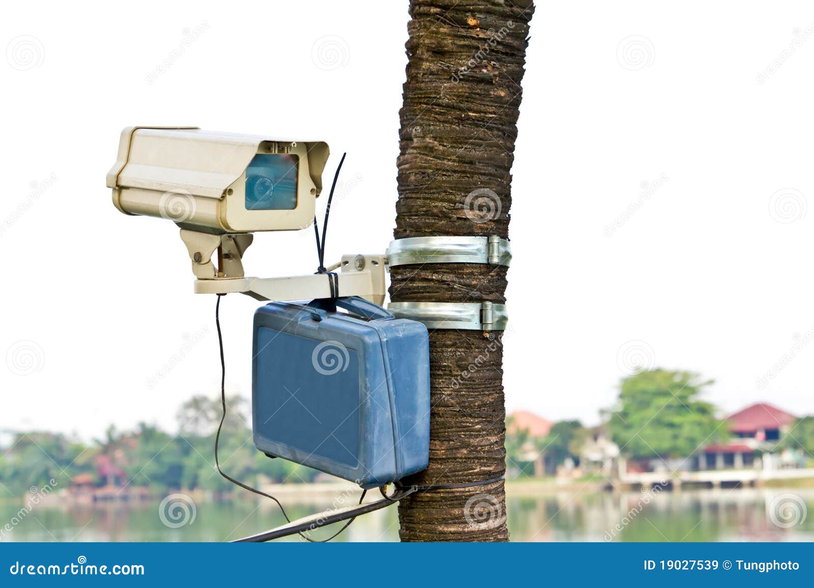 Cctv camera on tree stock image. Image of roof, protection - 19027539