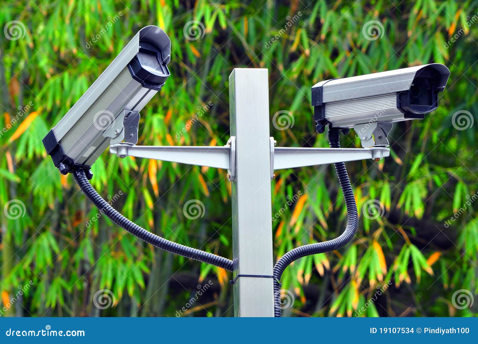 CCTV Cameras With A Fixed Speed On A Horizontal Column With Backlight ...