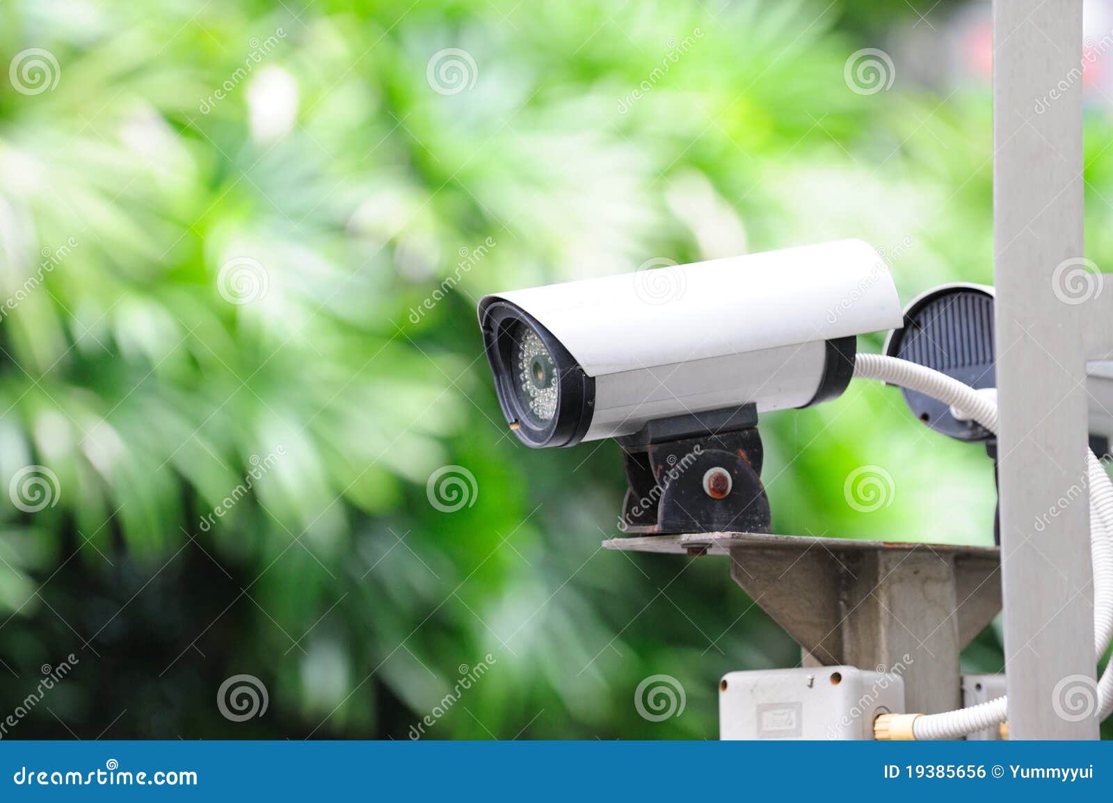 CCTV Cameras With A Fixed Speed On A Horizontal Column With Backlight ...