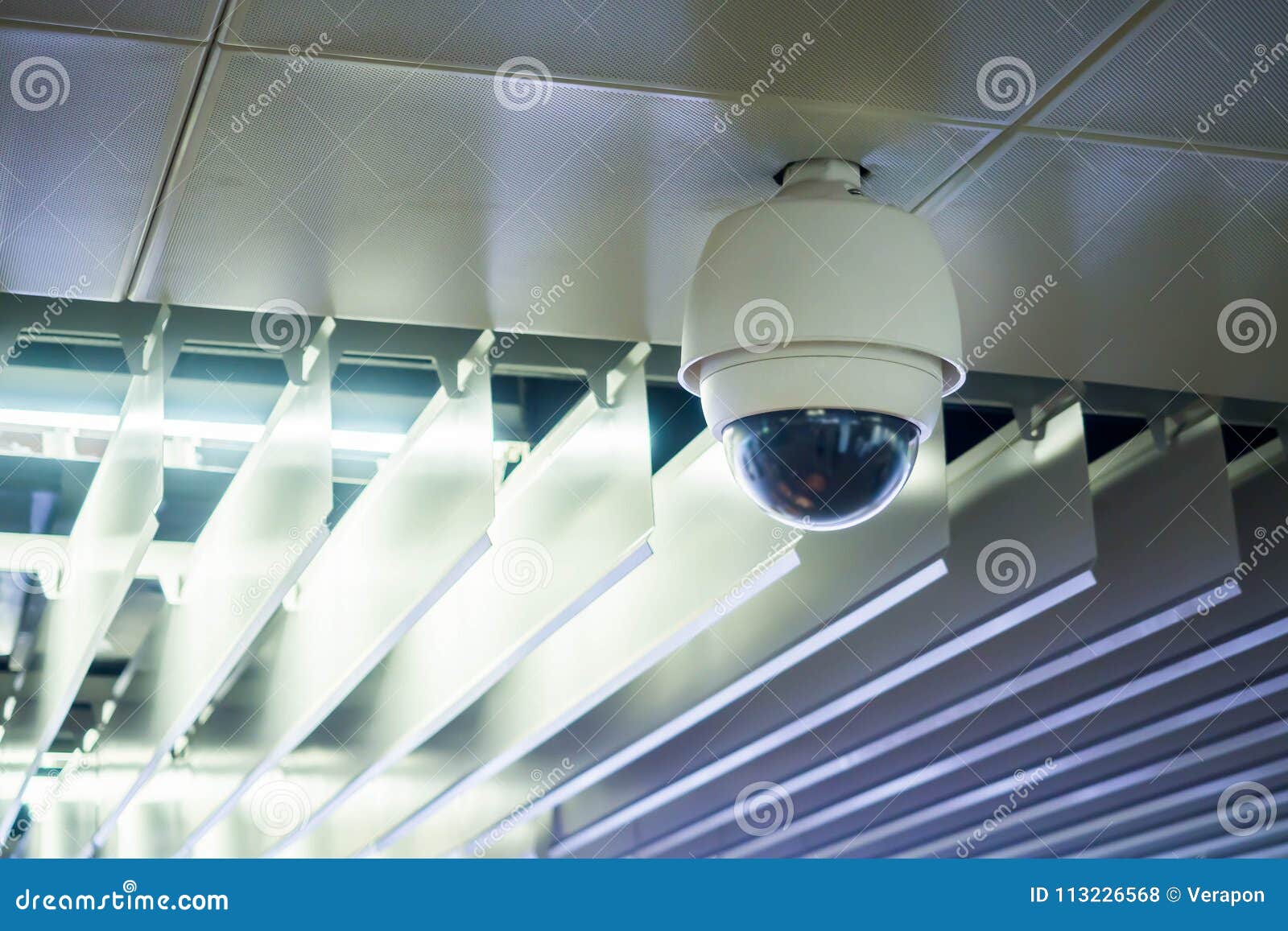 CCTV on the ceiling. stock photo. Image of privacy, close - 113226568