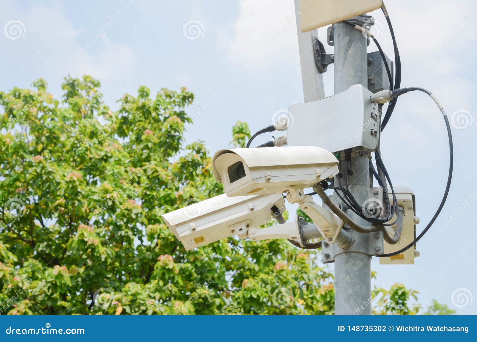 CCTV in Green Park for Watching Security Stock Photo - Image of green ...