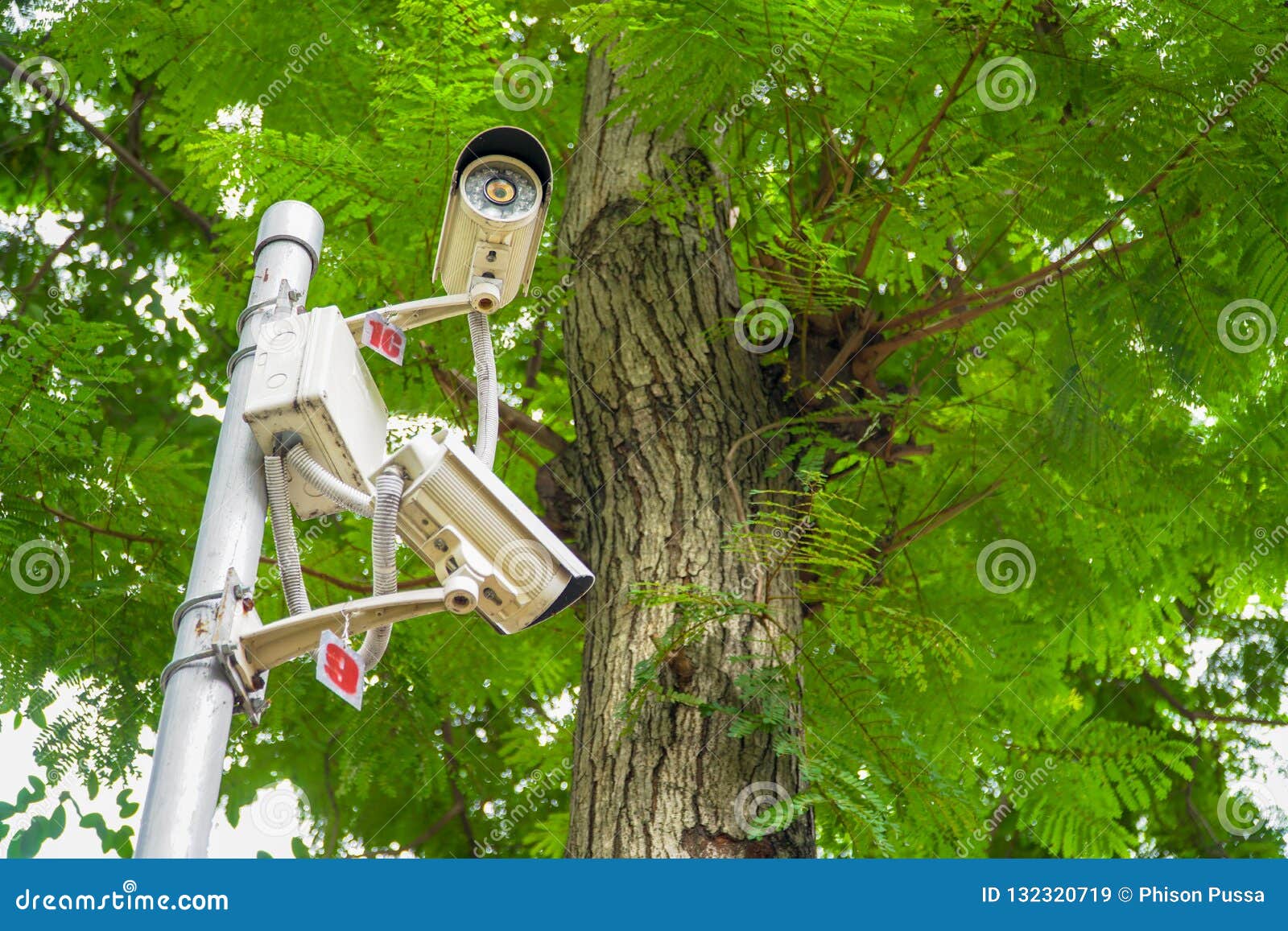 CCTV Security Camera in Garden on Tree Green Stock Image - Image of ...
