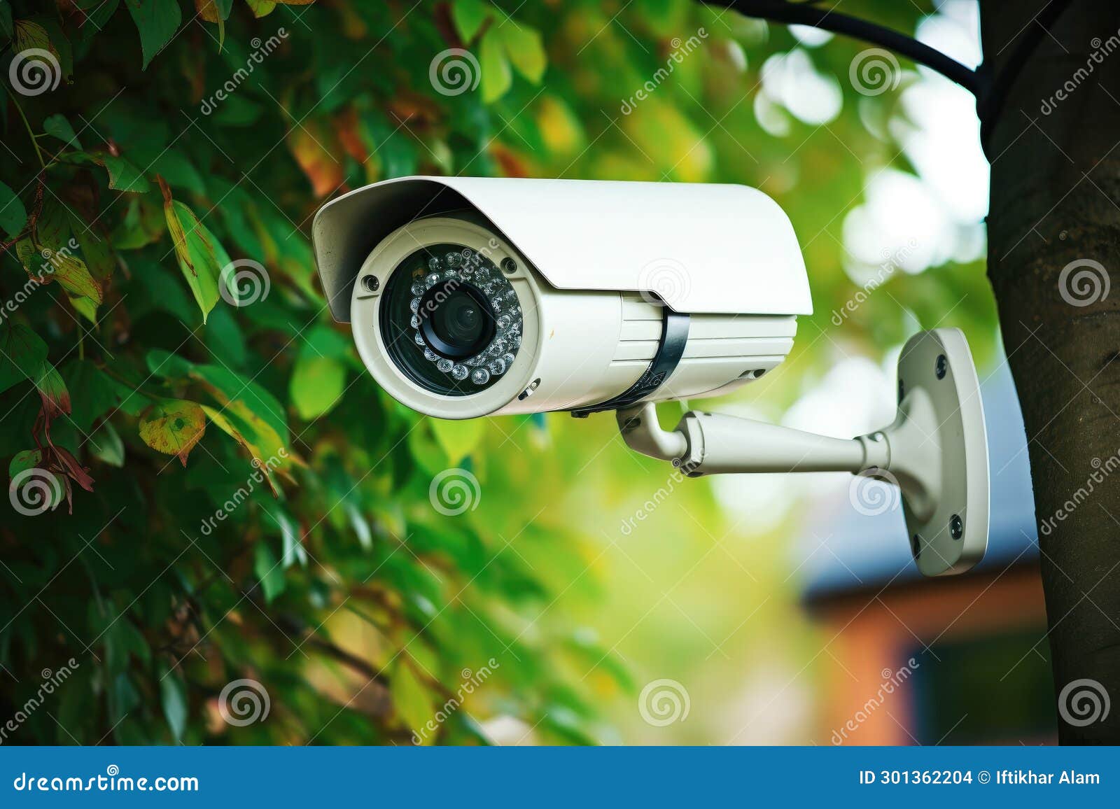 CCTV Security Camera or Surveillance System on Tree in the Park, CCTV ...