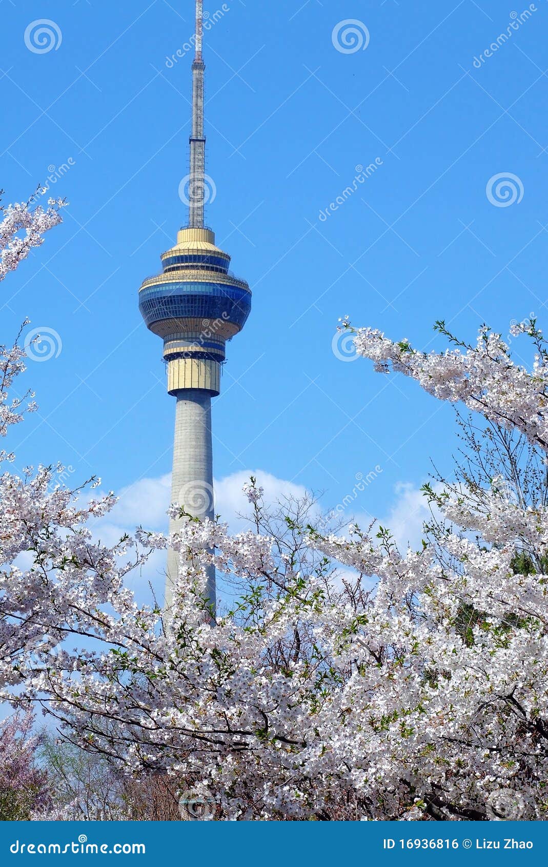 CCTV Tower Stock Image | CartoonDealer.com #89971801