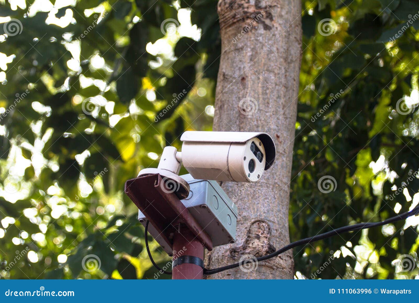 CCTV on Tree Concept Security Stock Photo - Image of electronic, view ...