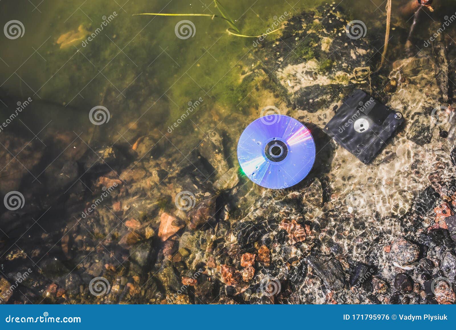 CD Disk and Floppy Diskette are Lying in the Lake Outdoors. Forgotten ...