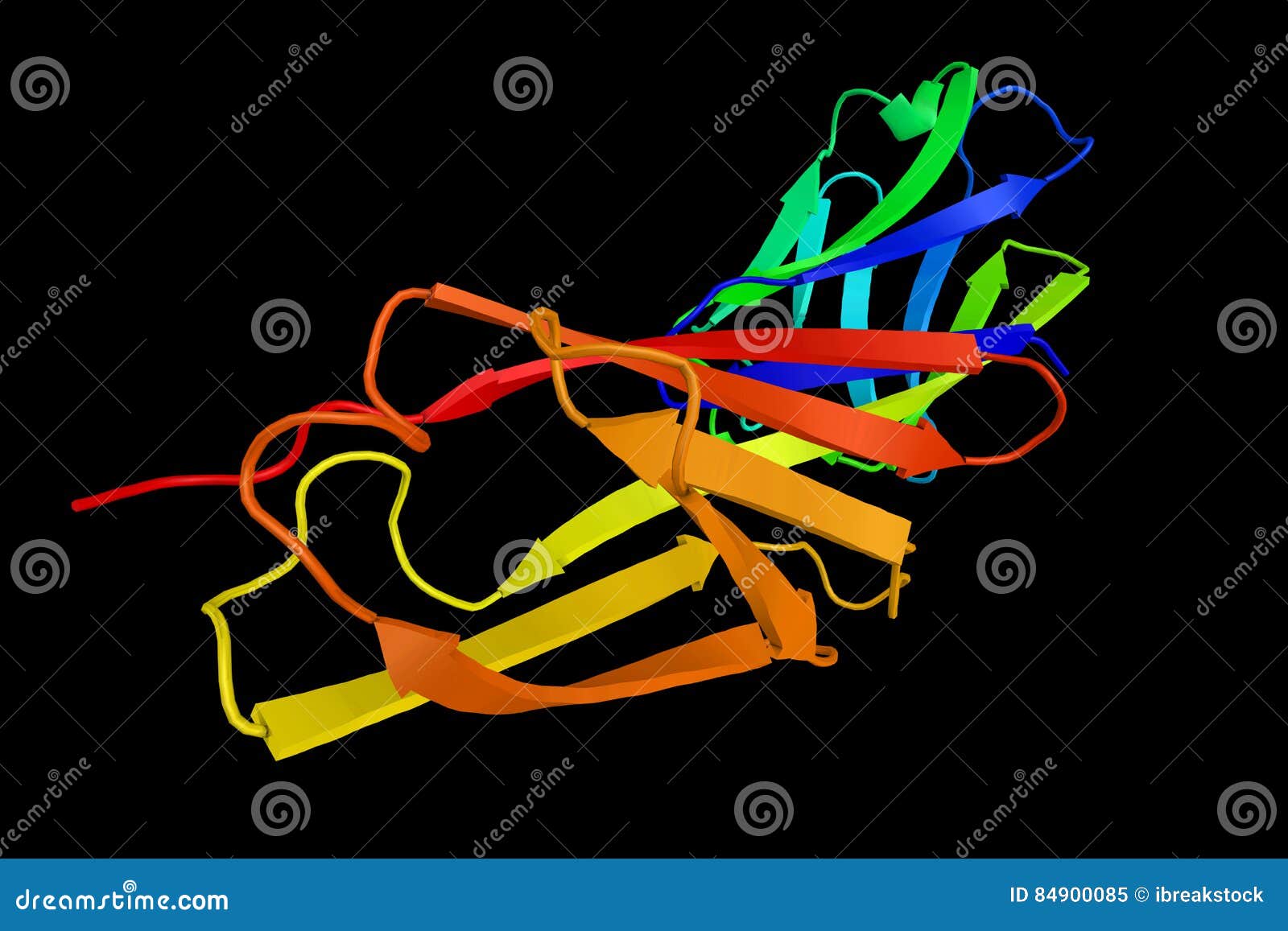 CD4, a Glycoprotein Found on the Surface of Immune Cells Such As Stock ...