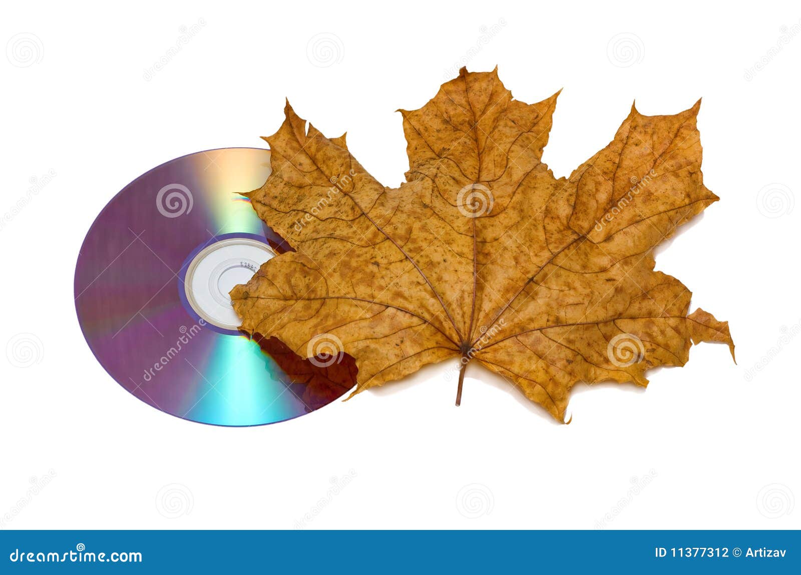 Cd & maple leaf stock photo. Image of burning, bright - 11377312