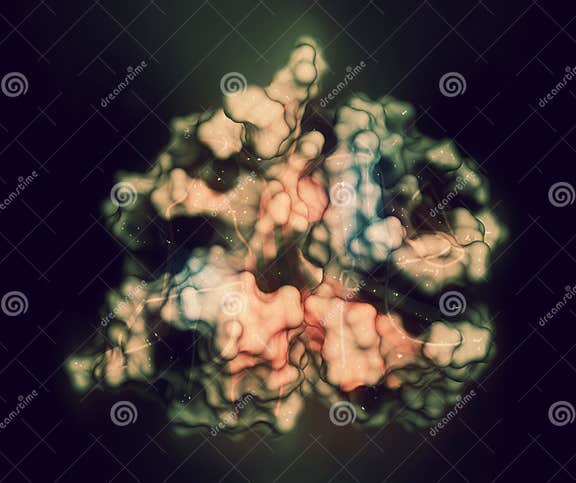CD3 Protein (epsilon/delta Ectodomain Dimer). CD3 is Present on the ...