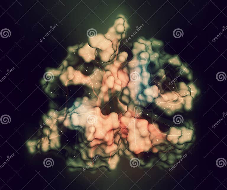 CD3 Protein (epsilon/delta Ectodomain Dimer). CD3 is Present on the ...