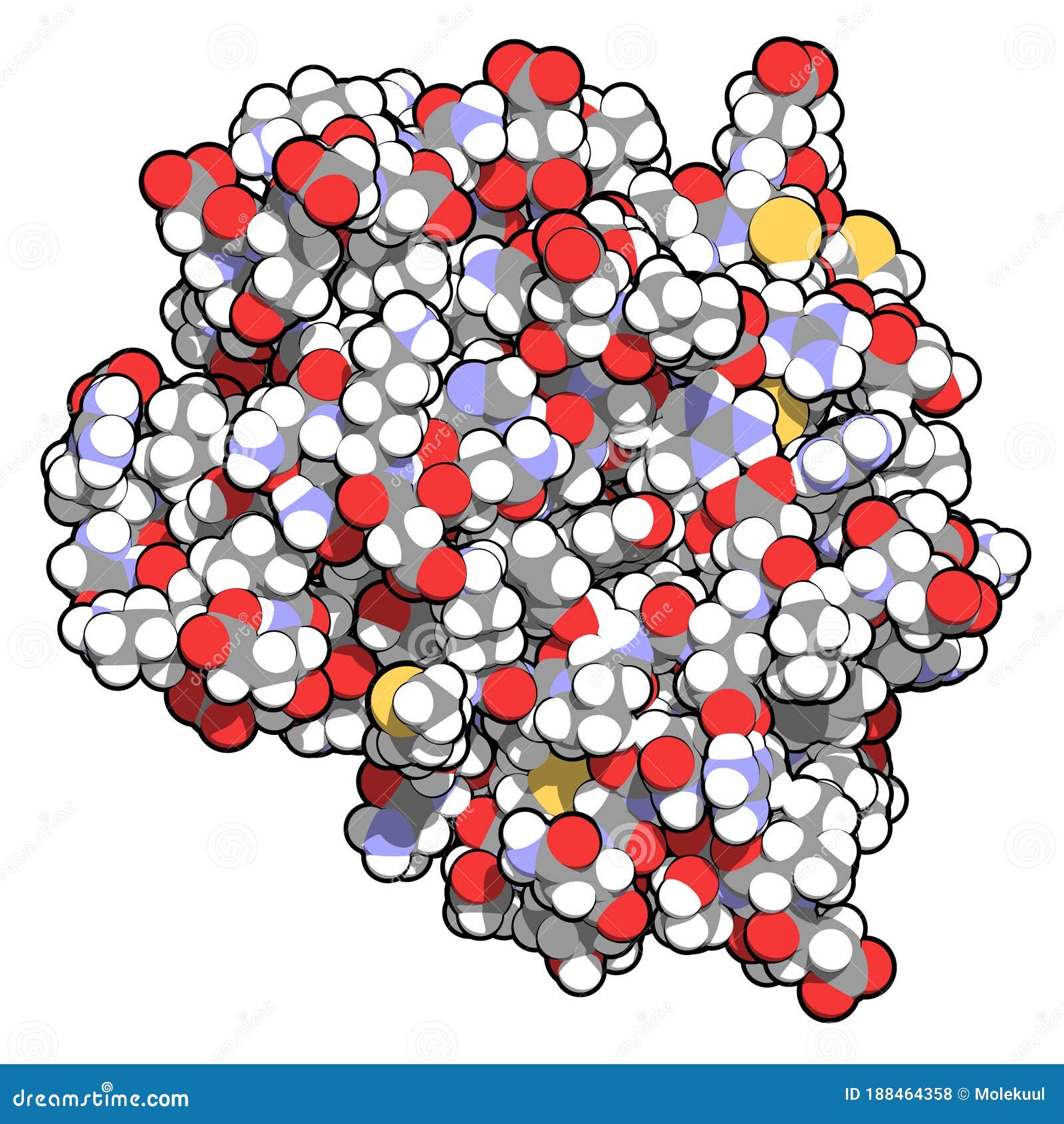 T Cell Activation Diagram, T Lymphpcytes, Helper T-cell And Cytotoxic T ...