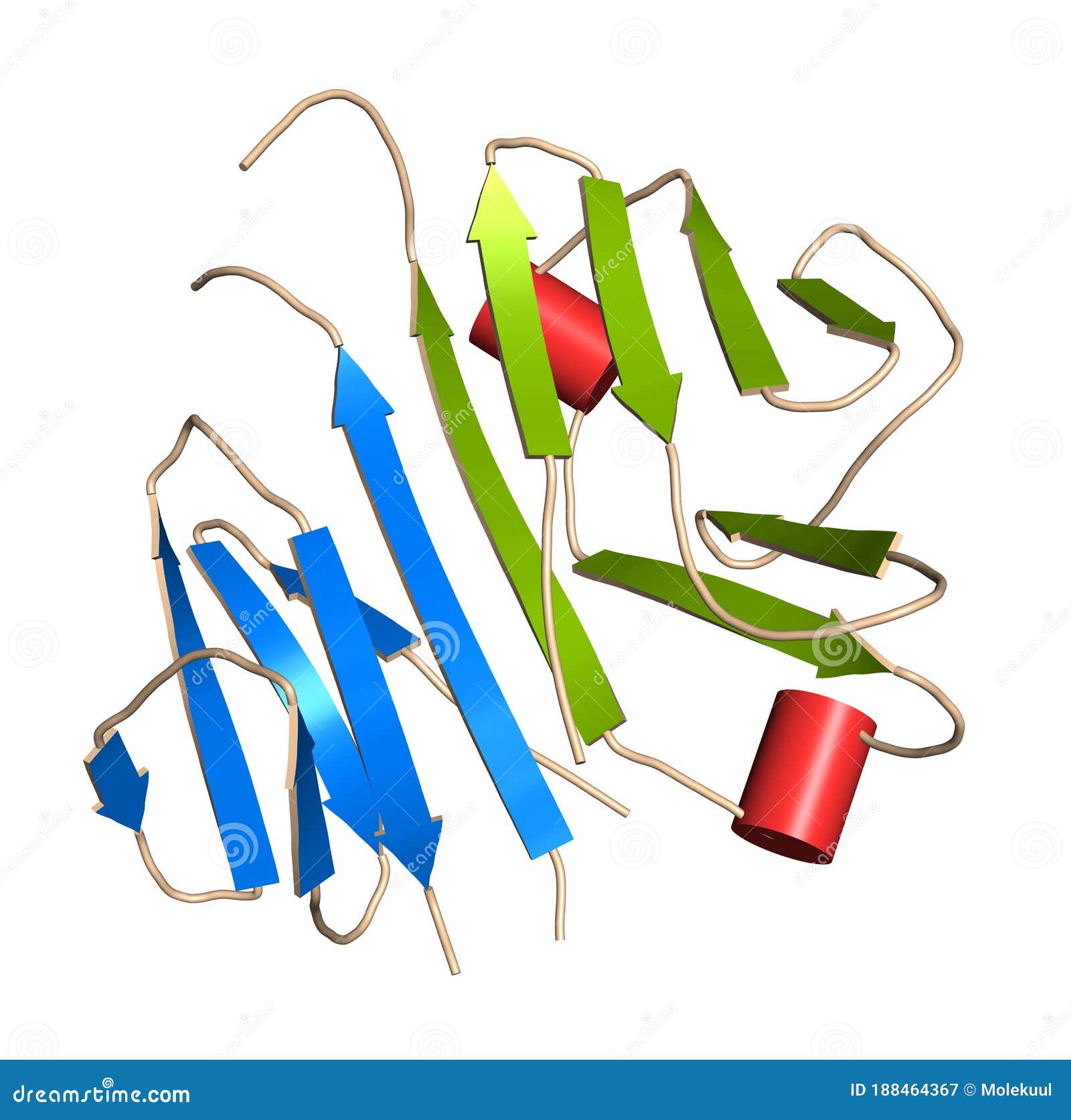 CD3 Protein (epsilon/delta Ectodomain Dimer). CD3 is Present on the ...