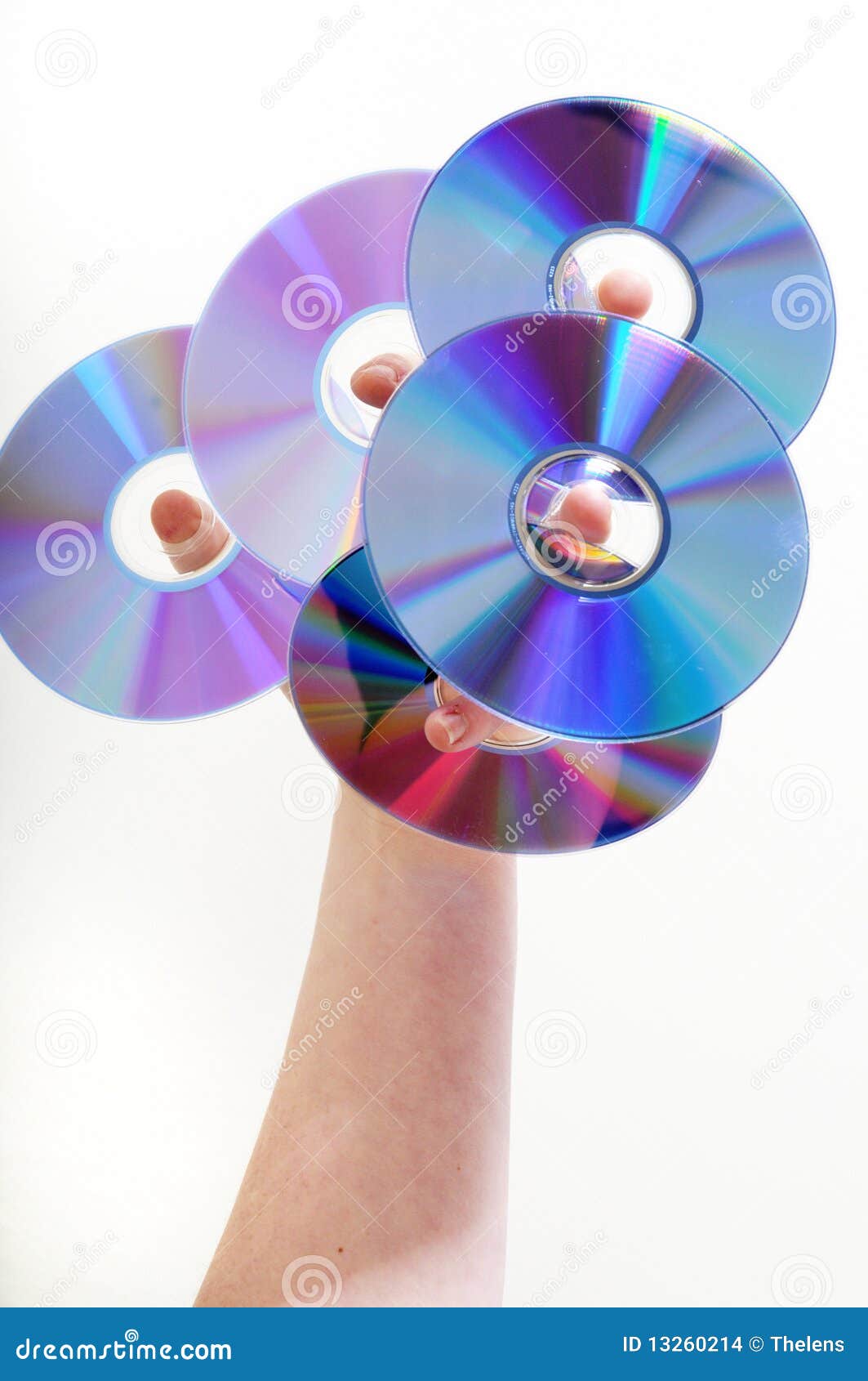 CD Tree stock photo. Image of bunch, holding, disc, tree - 13260214