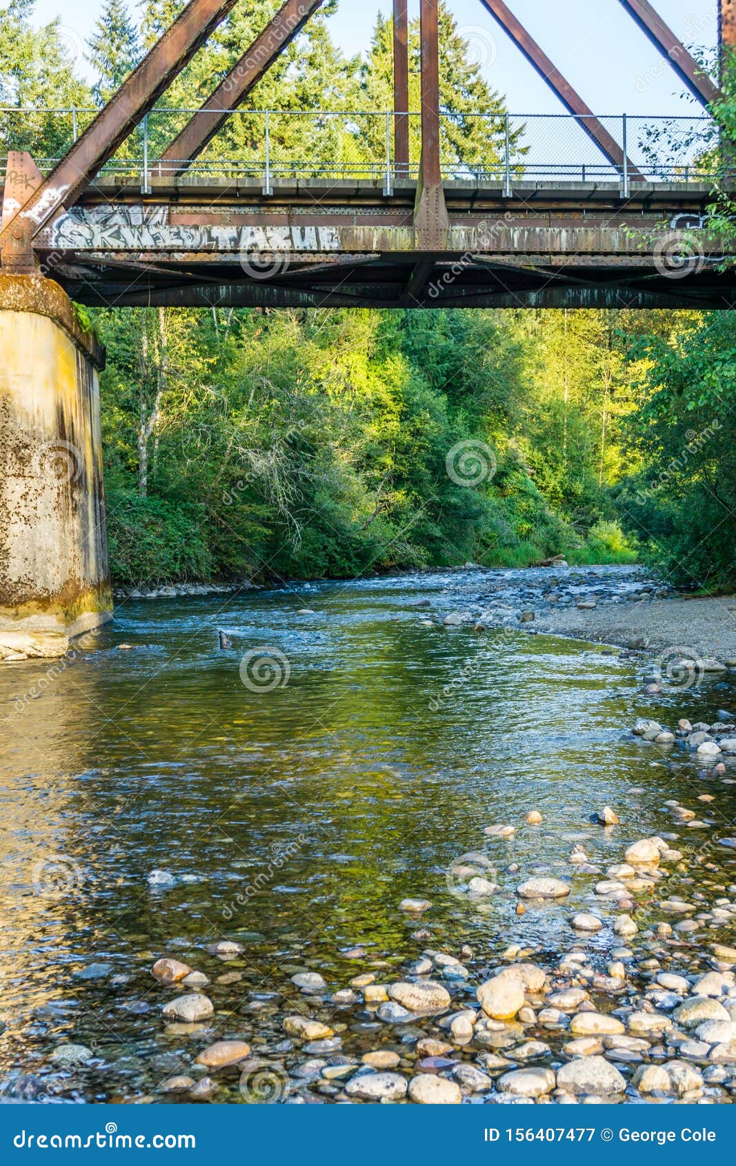 Cdear River Under Bridge 3 stock image. Image of river - 156407477