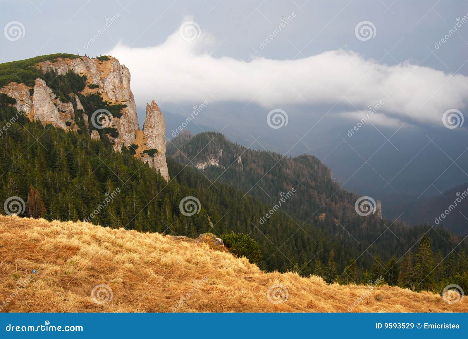 Ceahlau Mountains in Romania Stock Image - Image of nice, high: 9593529