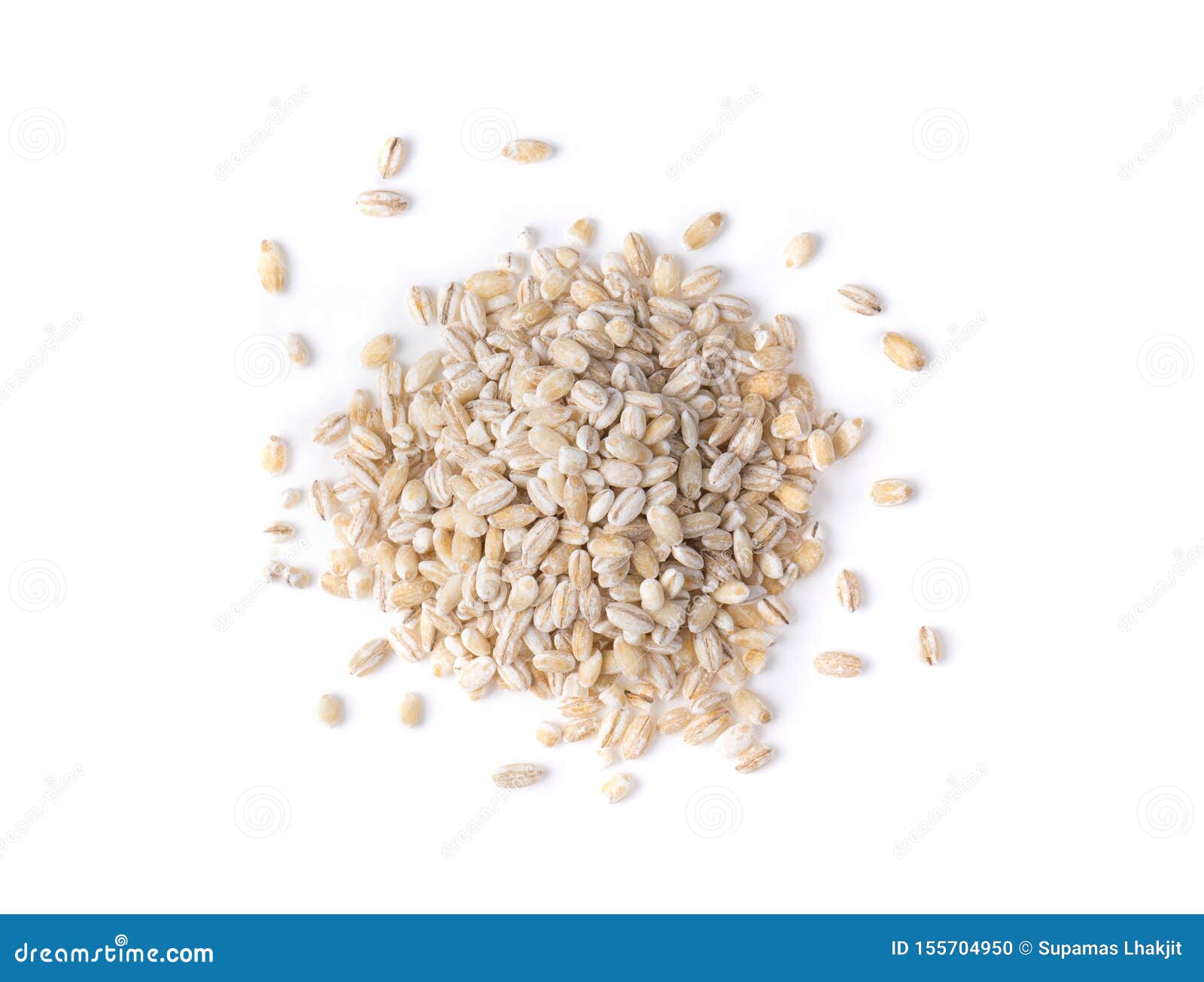 Cebada De Grano Sobre Fondo Blanco Foto de archivo - Imagen de fondo ...