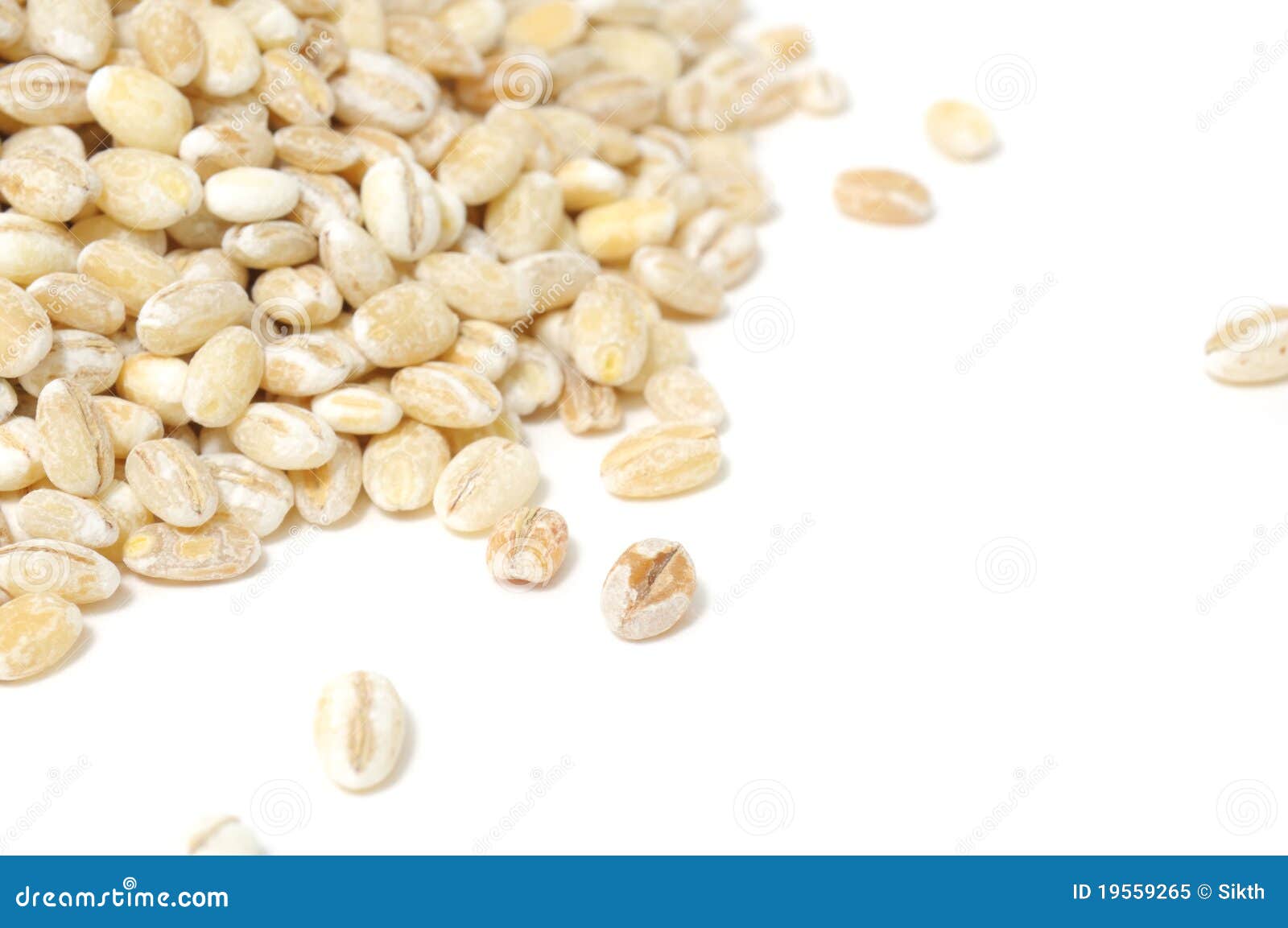 Cebada de perla imagen de archivo. Imagen de perla, fondo - 19559265