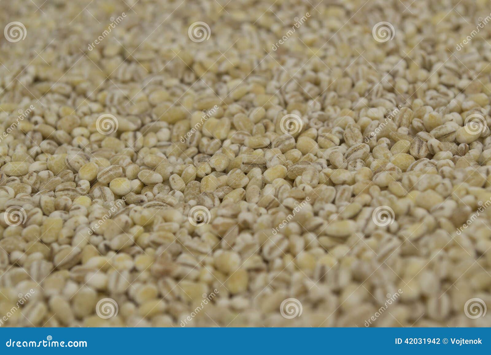 Cebada de perla foto de archivo. Imagen de perla, cebada - 42031942