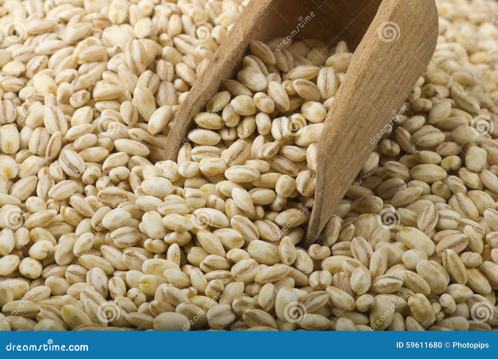 Cebada de perla foto de archivo. Imagen de cierre, cereal - 59611680