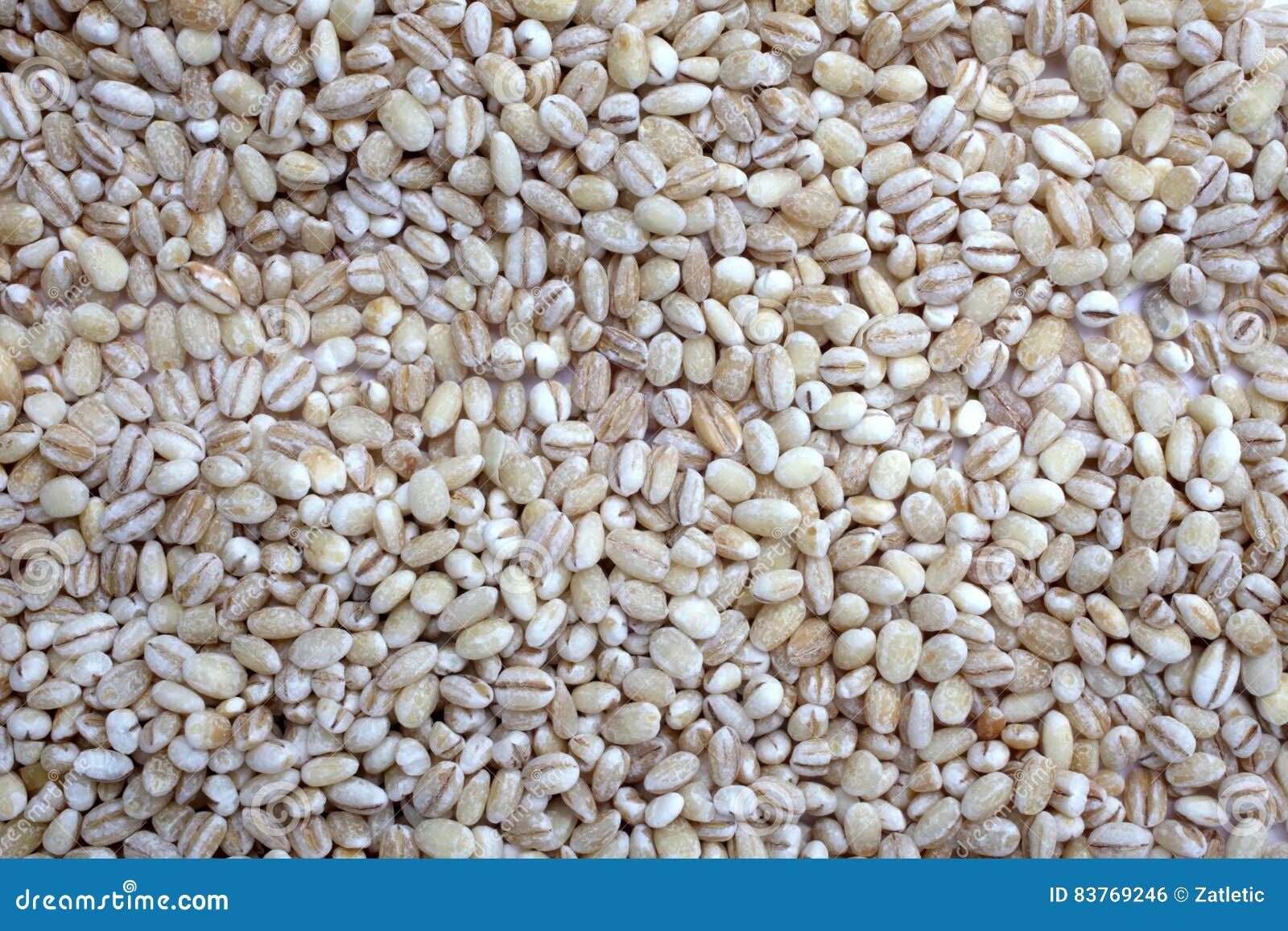 Cebada de perla foto de archivo. Imagen de cocina, perla - 83769246