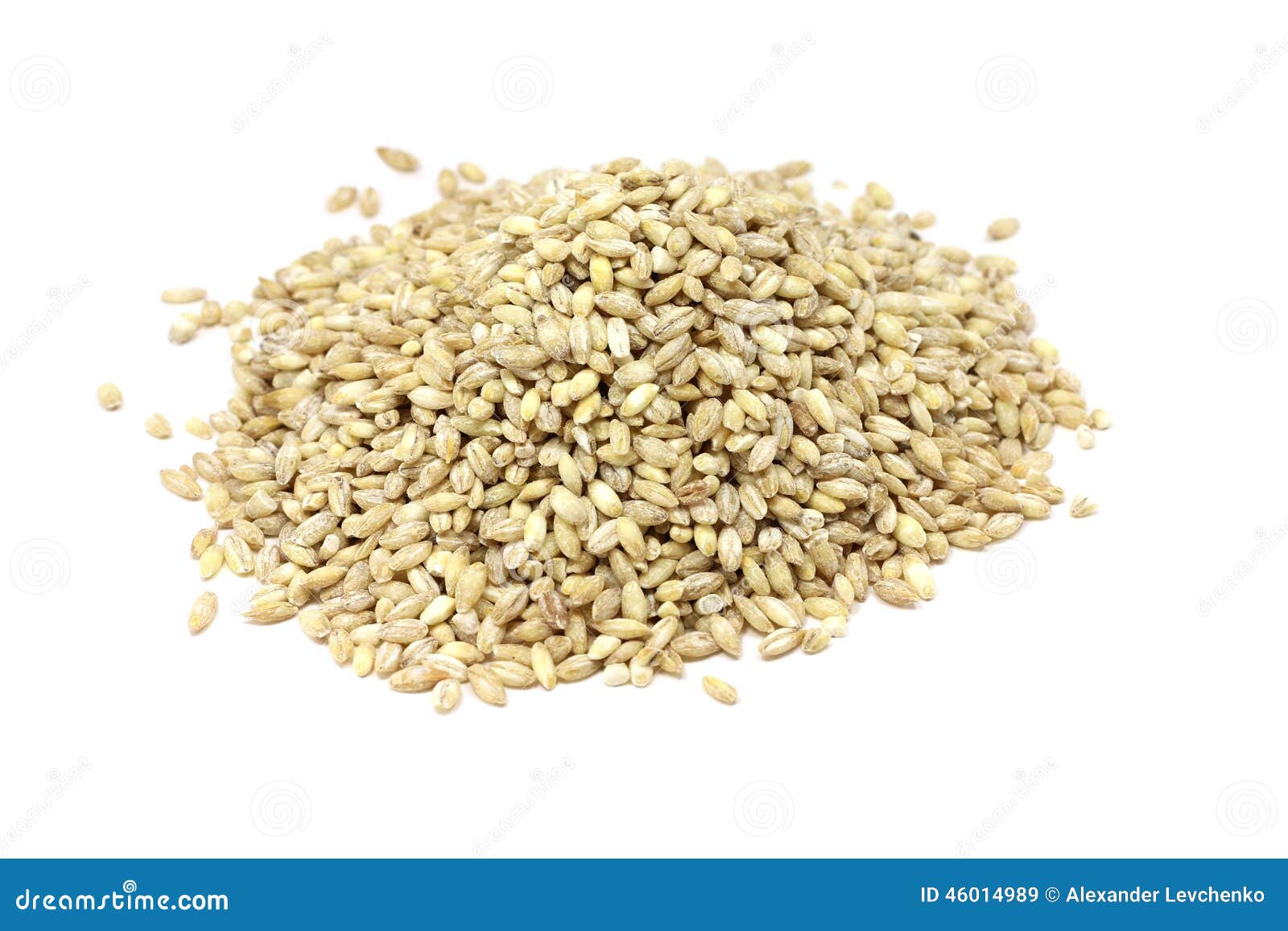 Cebada De Perla Entera Del Grano Imagen de archivo - Imagen de cubo ...