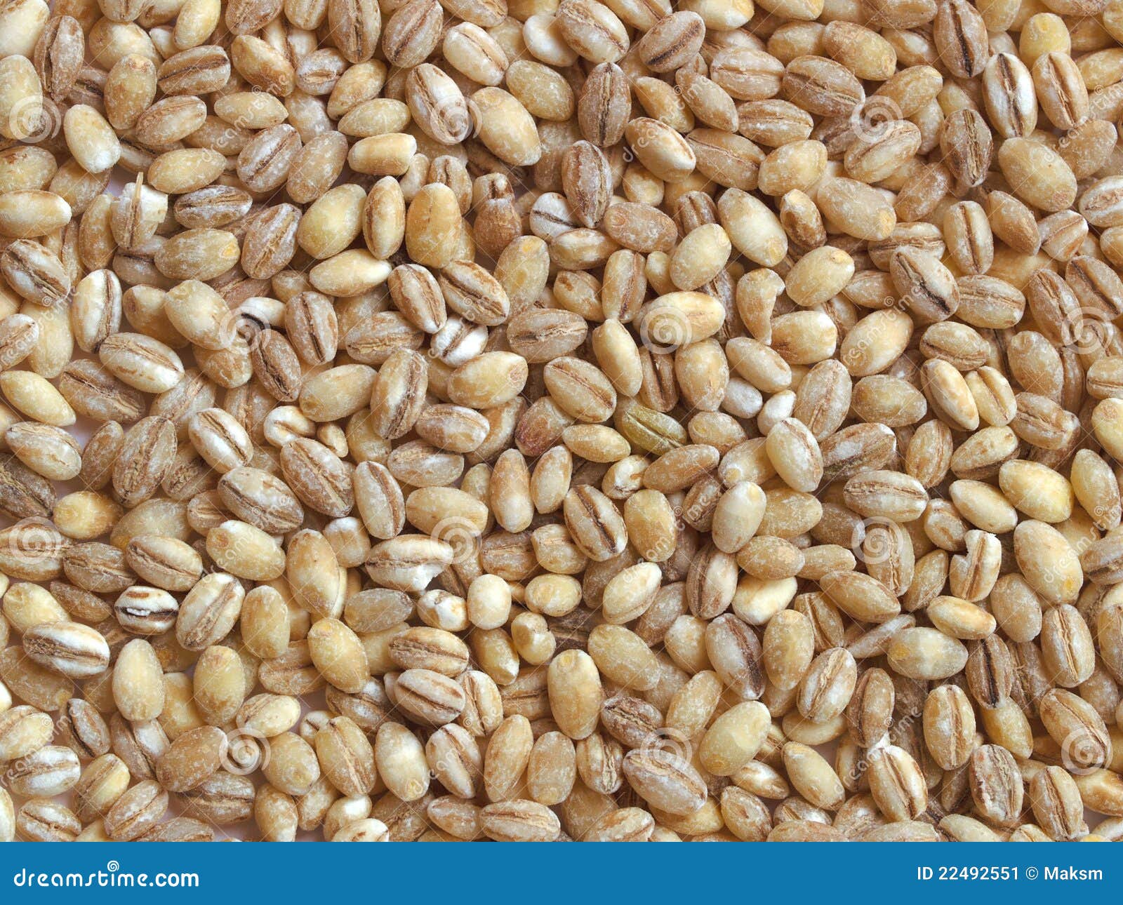 Cebada de perla secada imagen de archivo. Imagen de pera - 22492551
