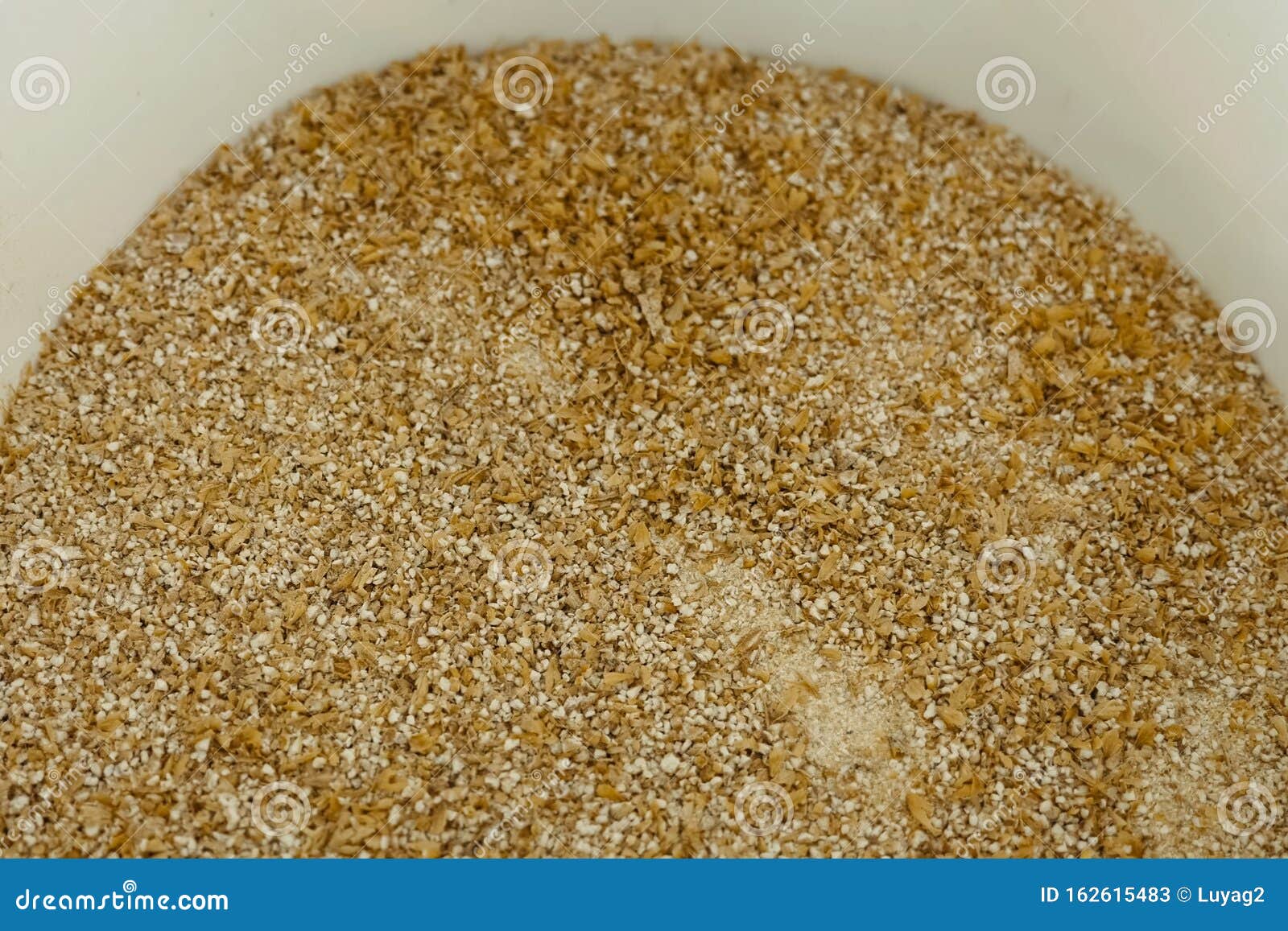 Cebada De Tierra En El Recipiente, Cebada Molida Imagen de archivo ...