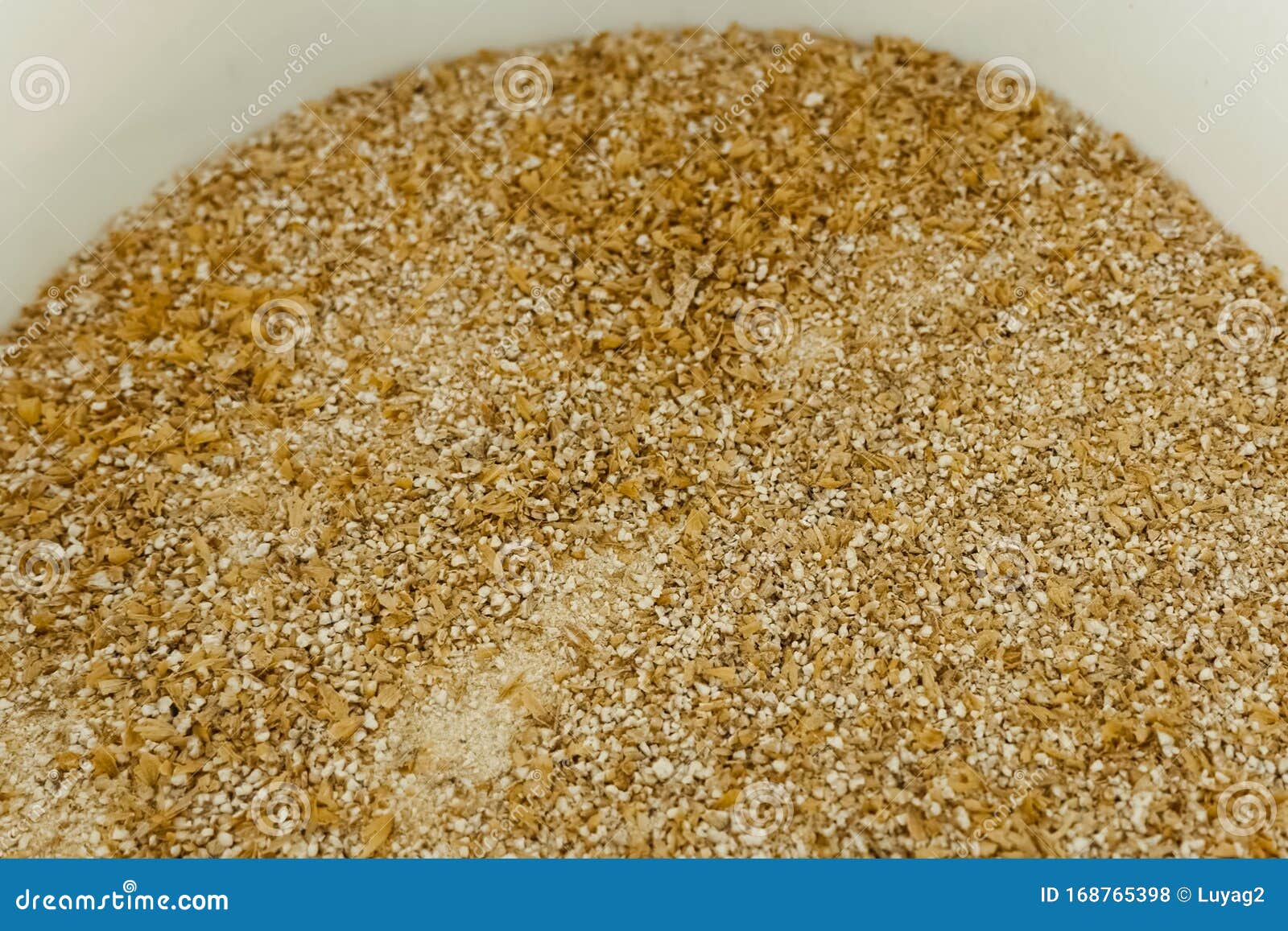 Cebada De Tierra En El Recipiente, Cebada Molida Foto de archivo ...